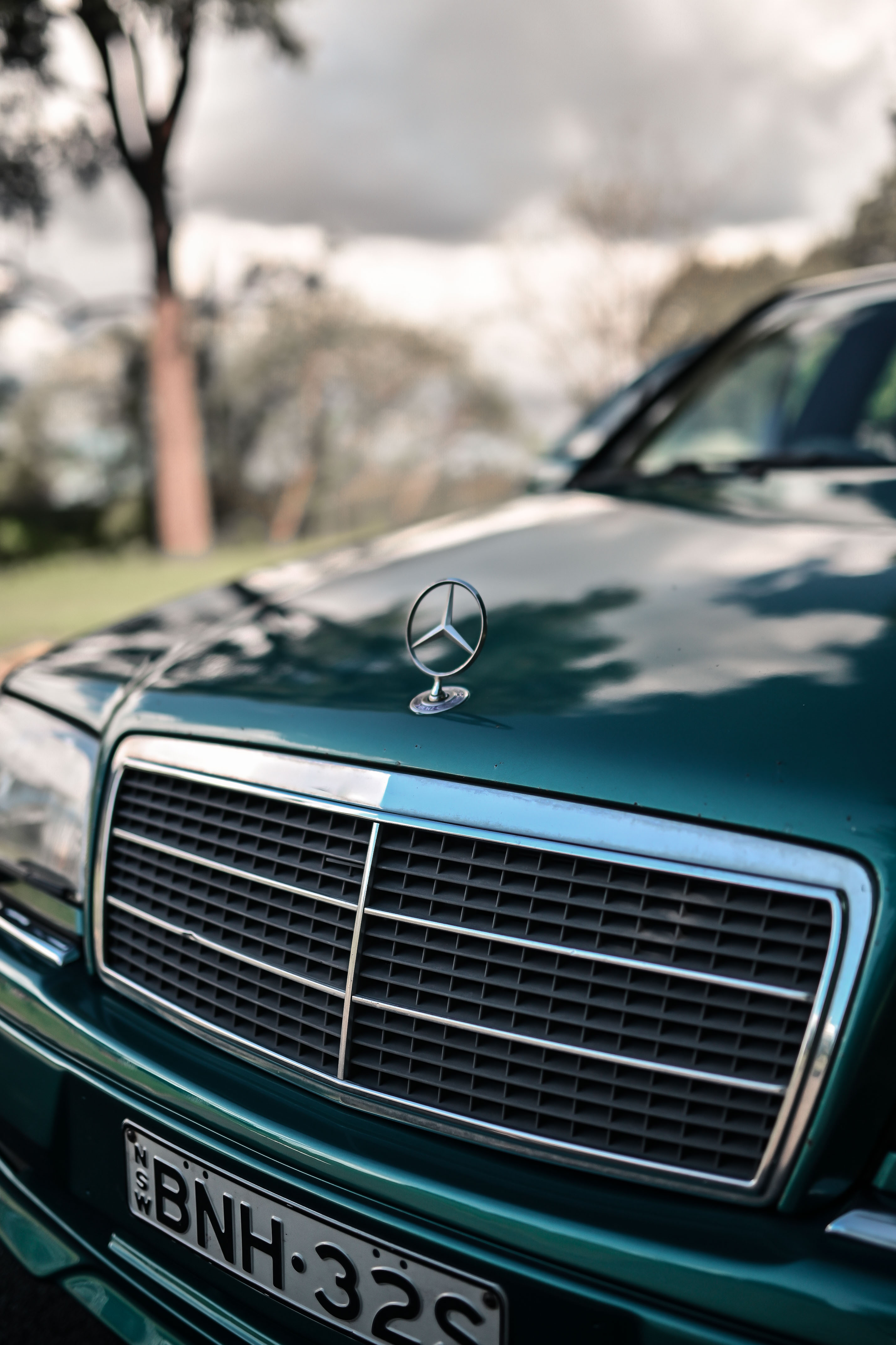 1996 MERCEDES-BENZ (W202) C36 AMG for sale by auction in Blue Mountains ...