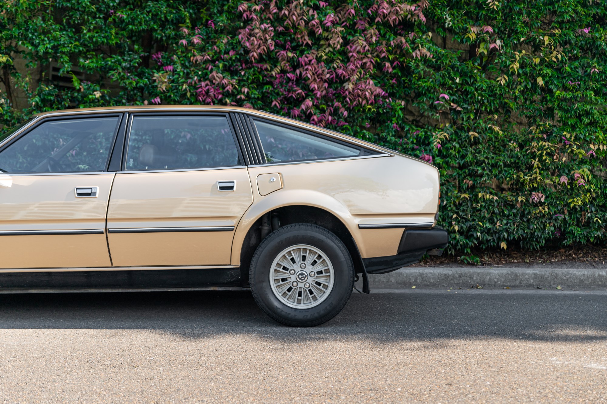 1979 ROVER 3500 (SD1) for sale by auction in Chatswood, New South Wales ...