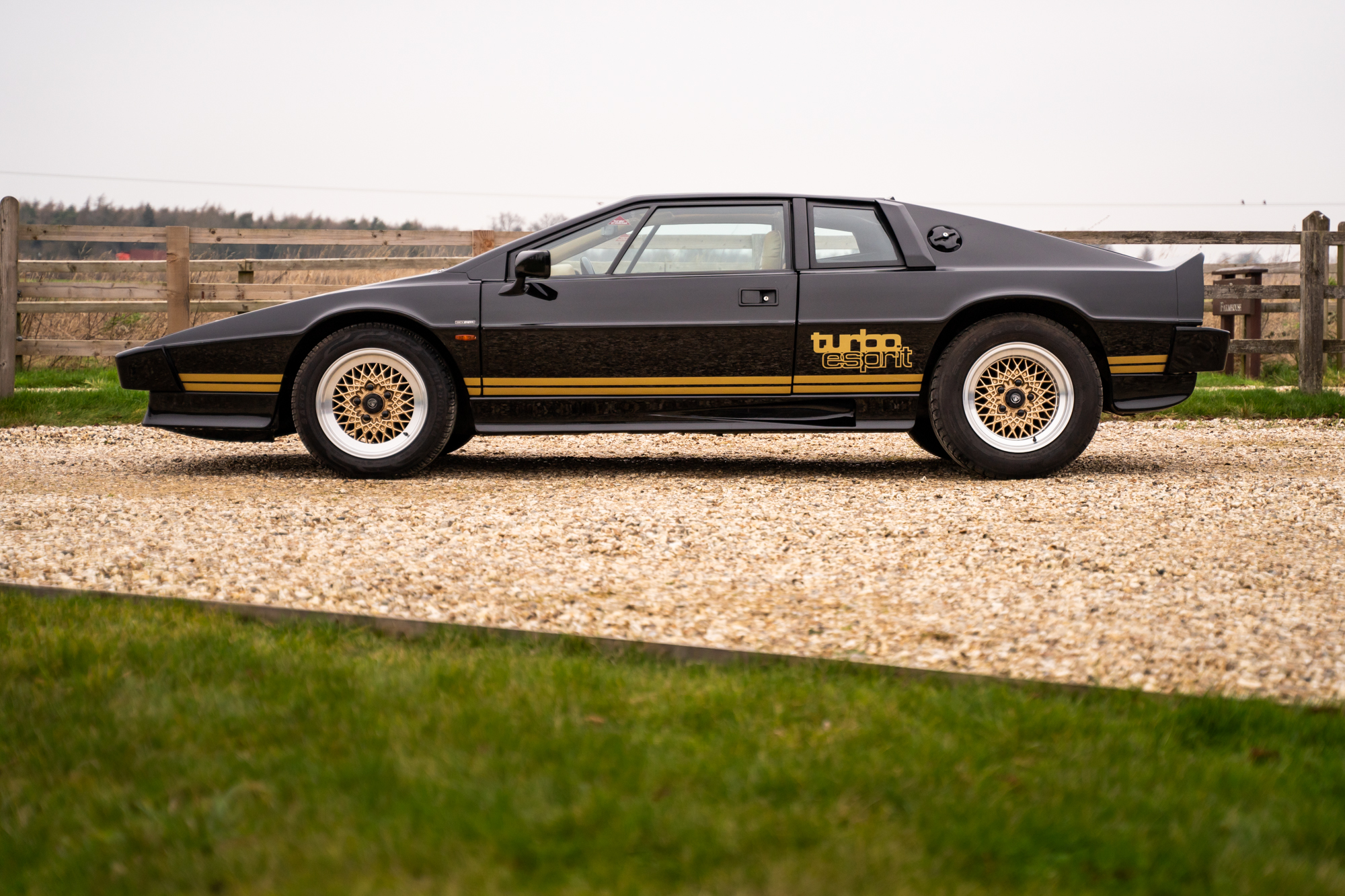 1984 LOTUS ESPRIT TURBO for sale by auction in Oxford, Oxfordshire ...