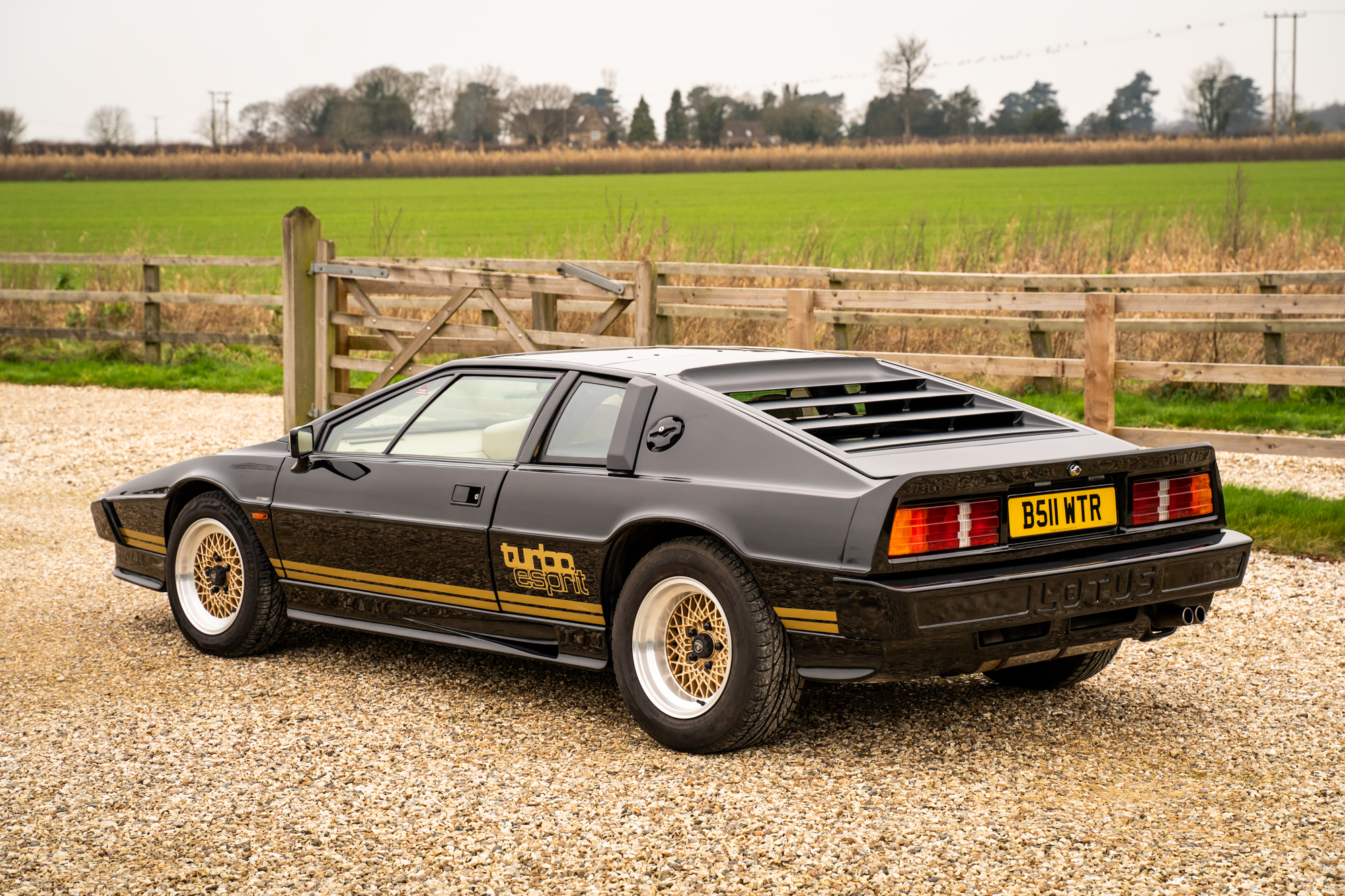 1984 LOTUS ESPRIT TURBO for sale by auction in Oxford, Oxfordshire ...