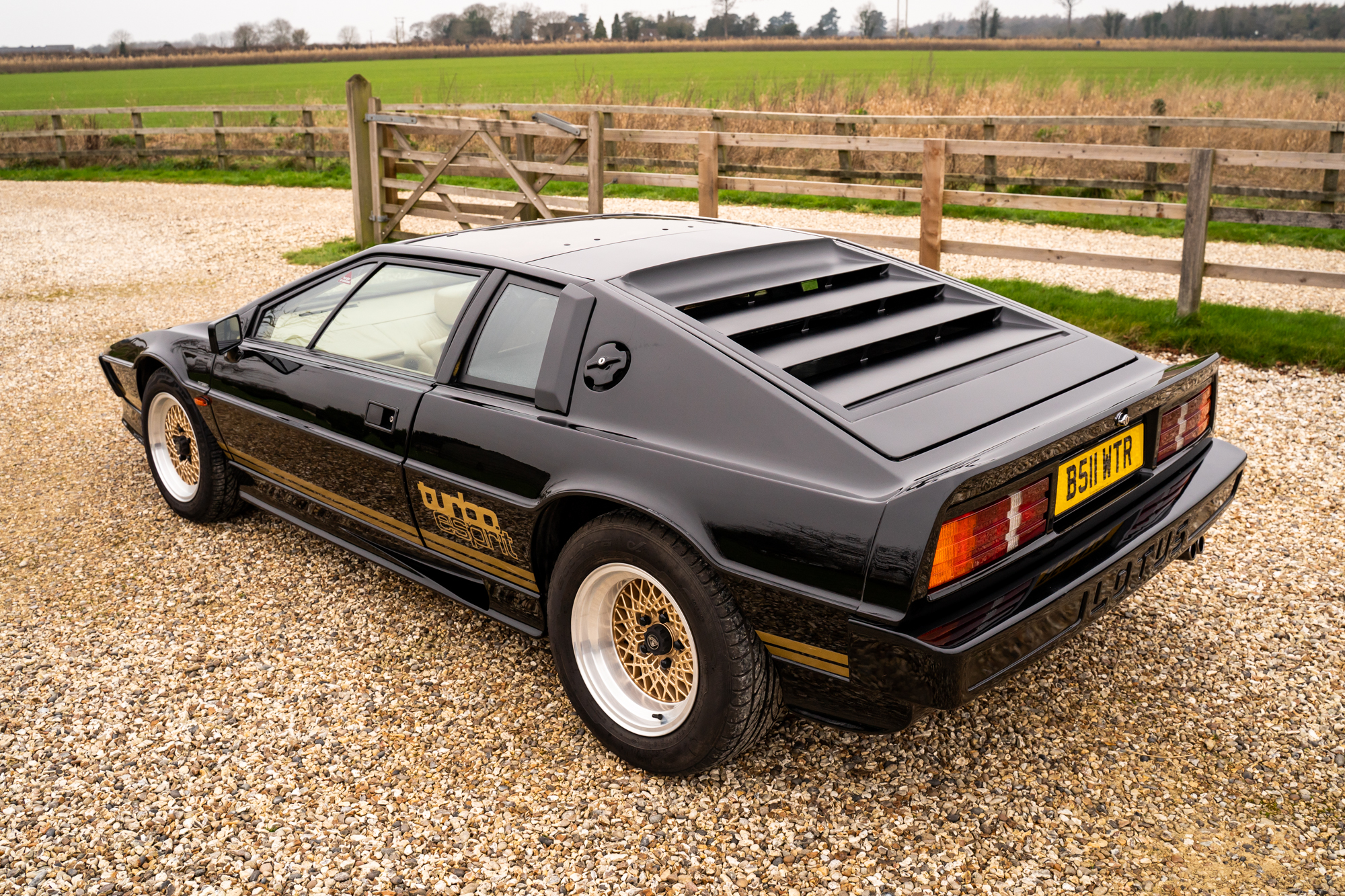 1984 LOTUS ESPRIT TURBO for sale by auction in Oxford, Oxfordshire ...