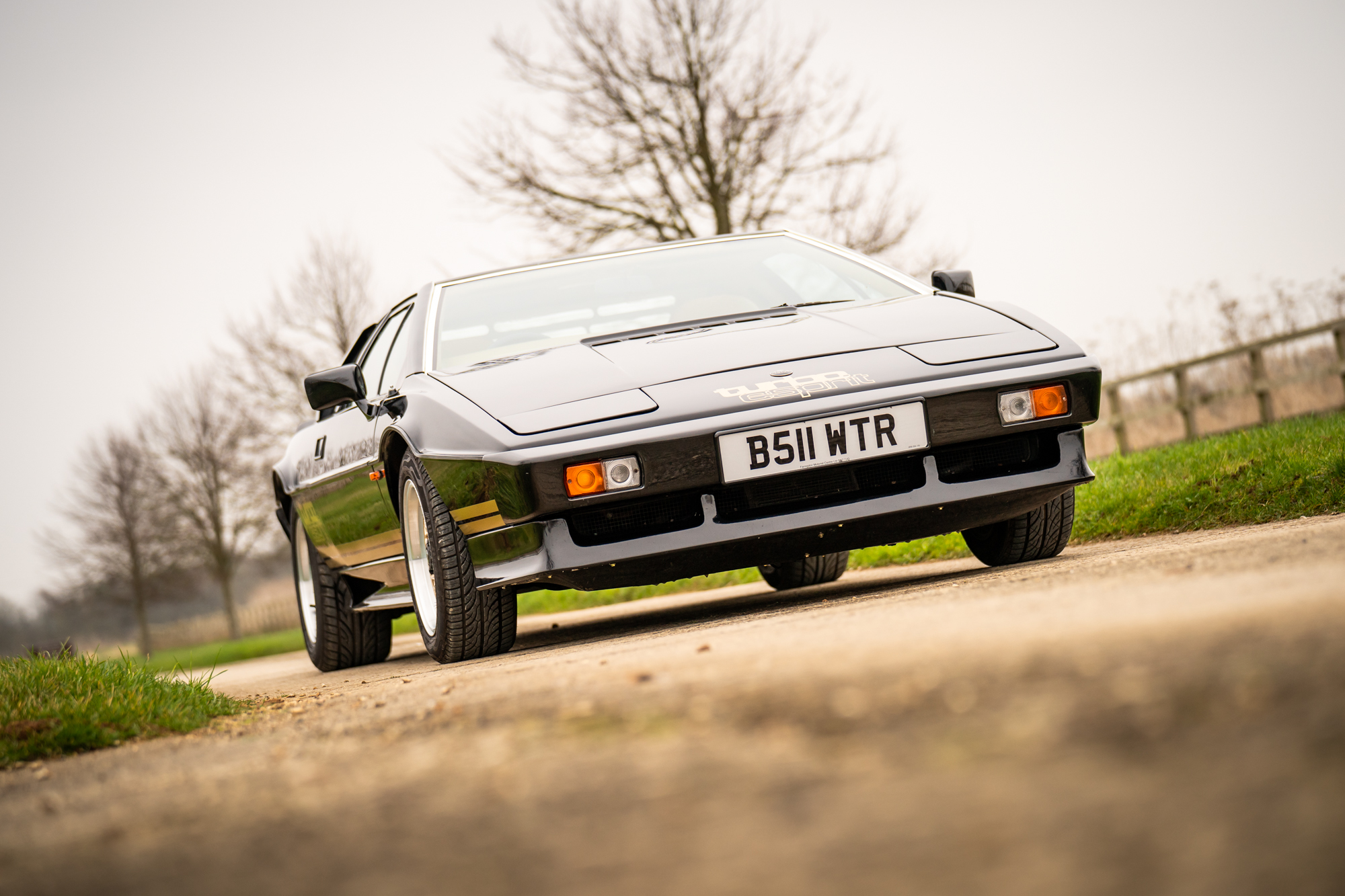 1984 LOTUS ESPRIT TURBO for sale by auction in Oxford, Oxfordshire ...