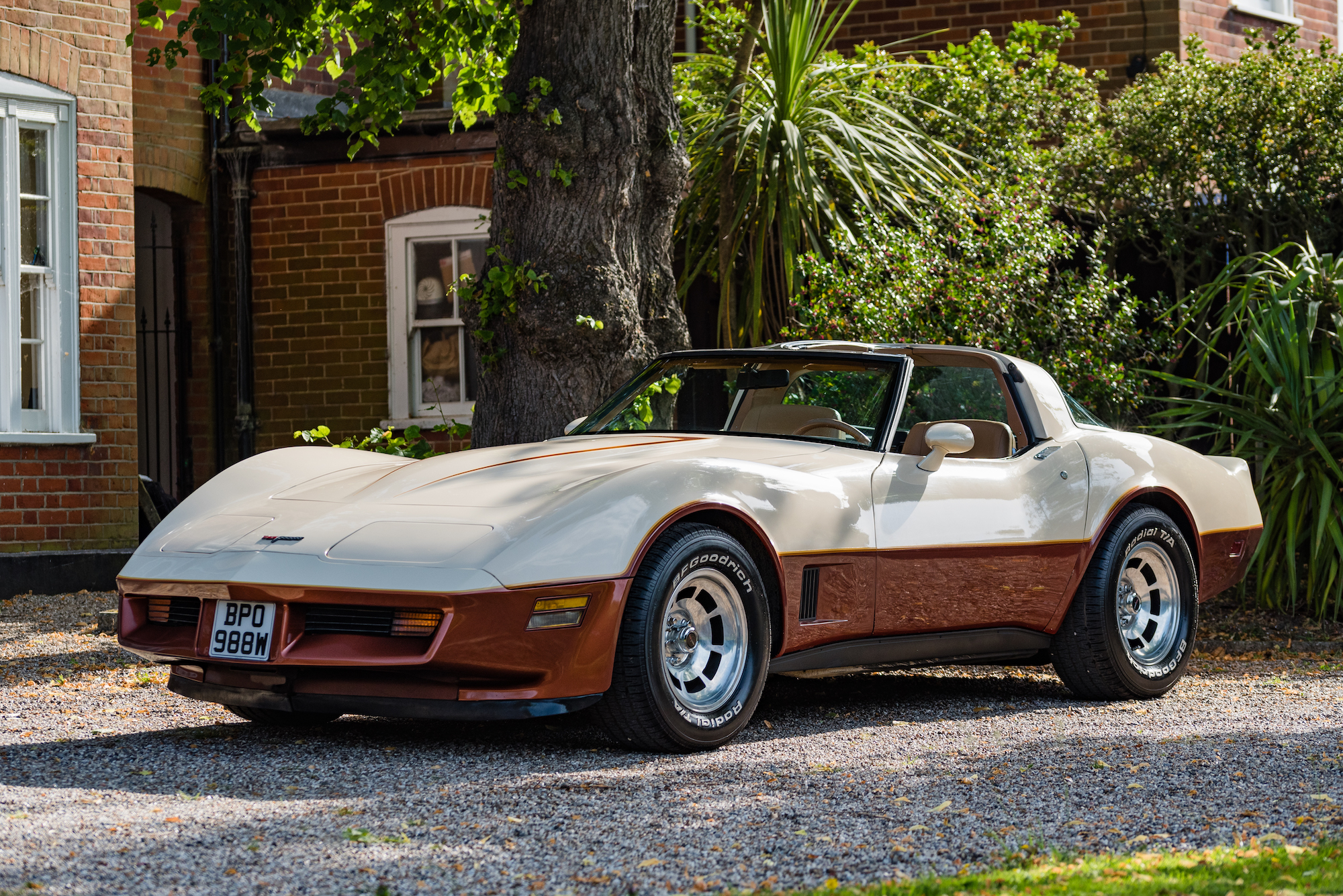Corvette 1981
