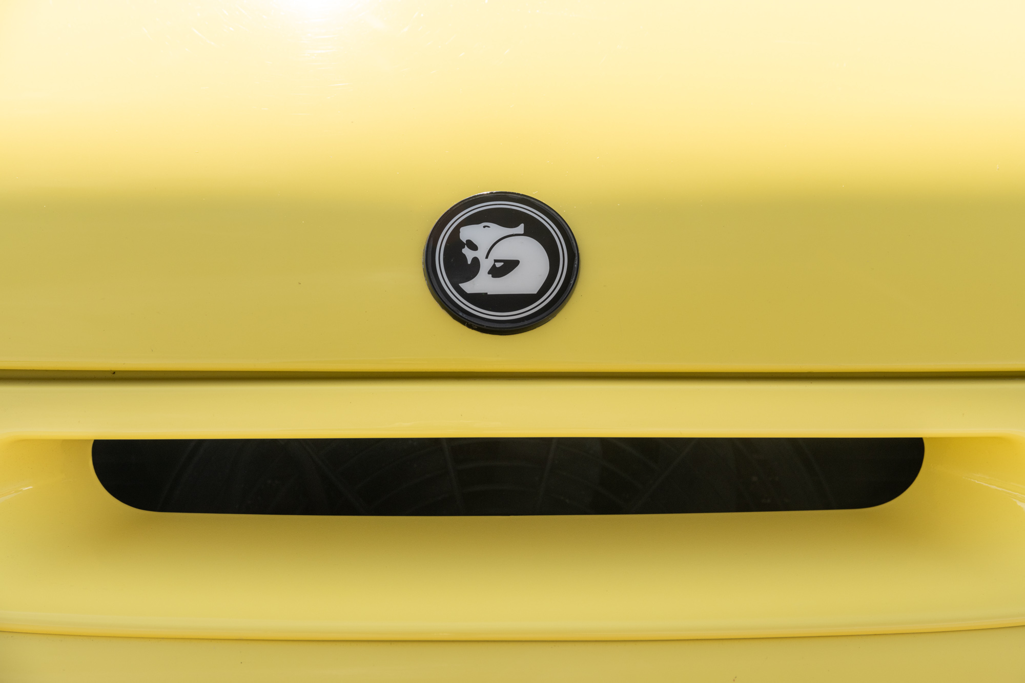 1996 HOLDEN HSV GTS-R for sale by auction in Wellington, NZ, New Zealand