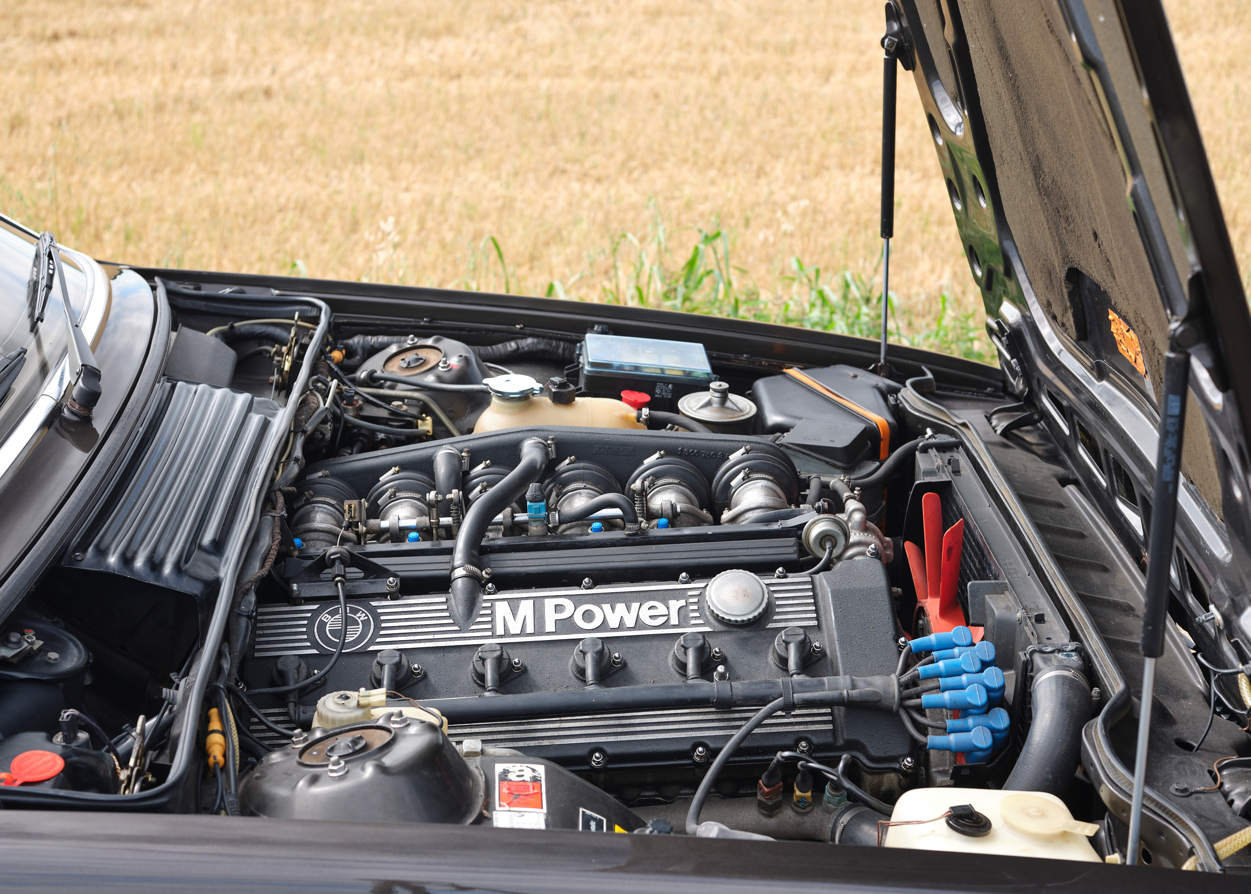 Inicio Bmw M 635 BMW M635CSi Top Model Of The E24 Series