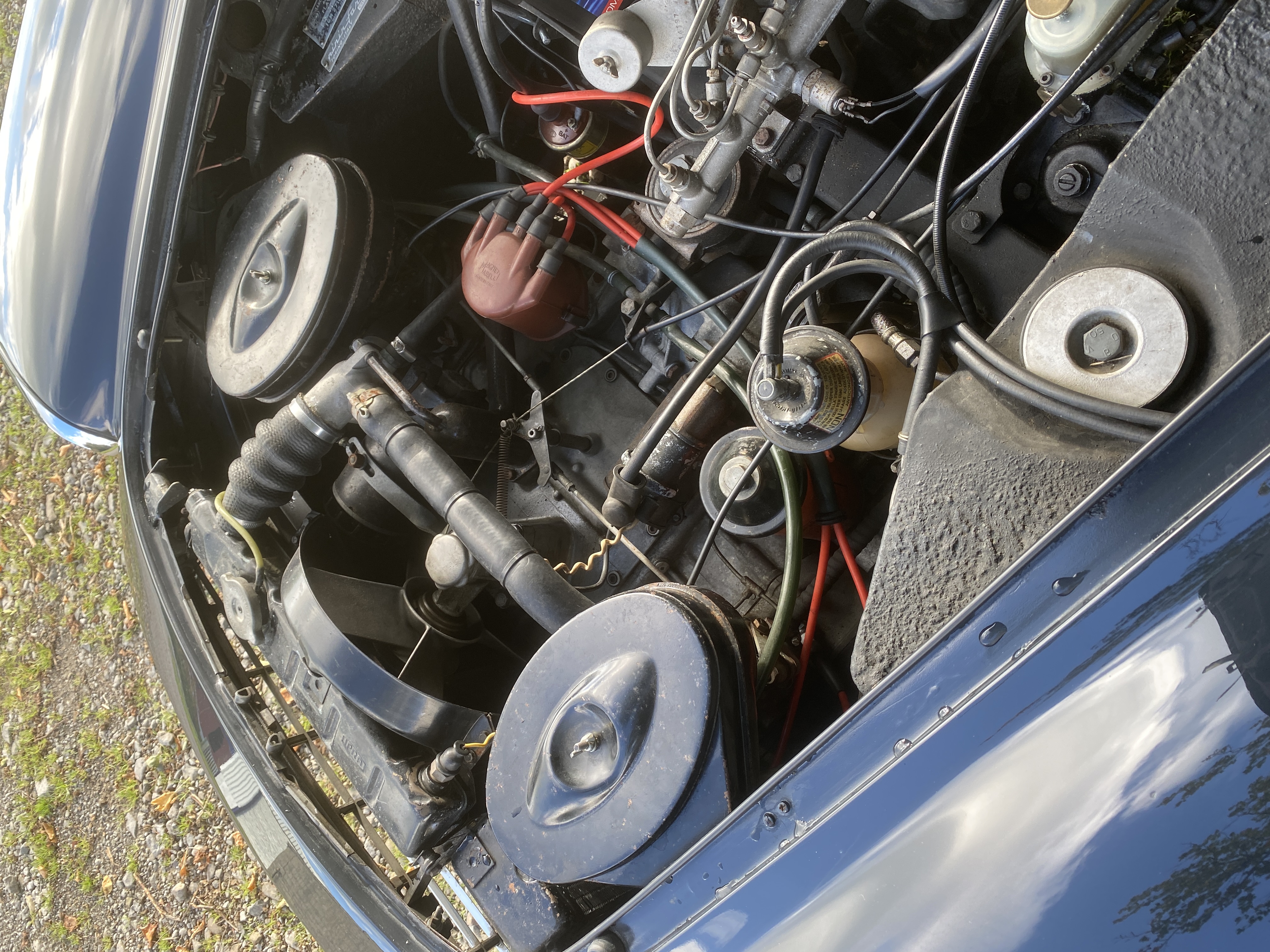 1963 Lancia Flavia - 49,858 Km for sale by classified listing privately ...