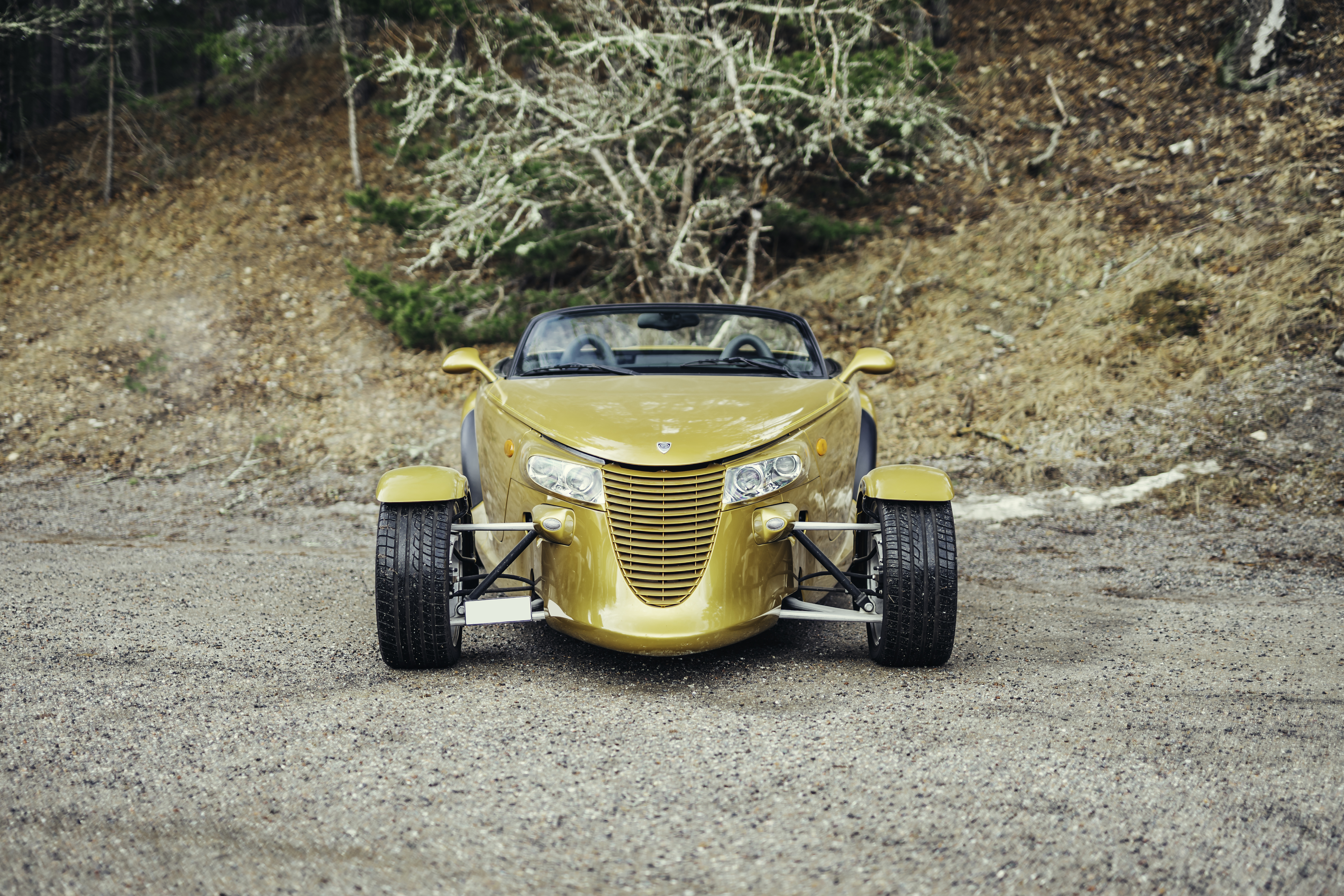 2002 Plymouth Prowler for sale by auction in Stockholm, Sweden