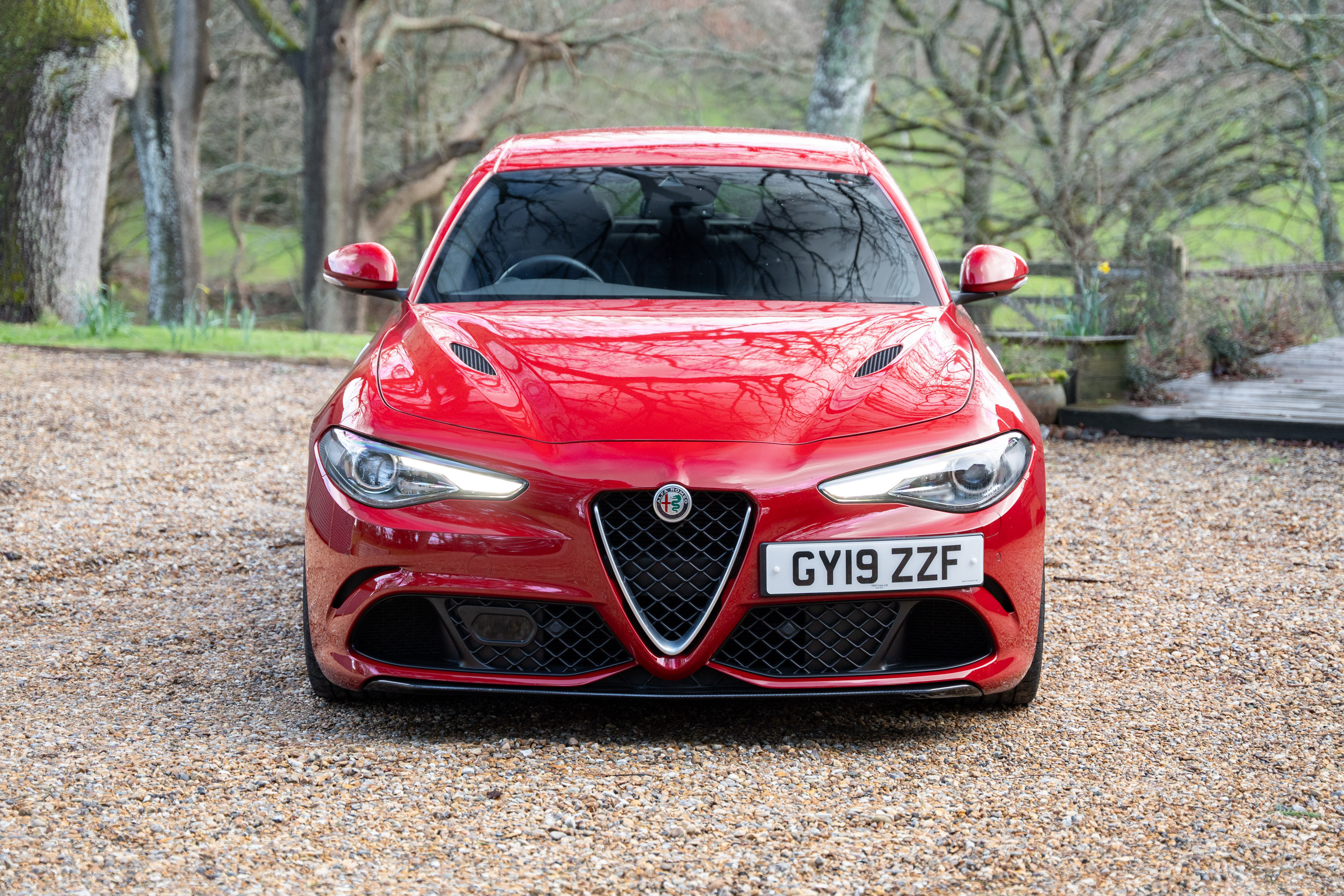 2019 Alfa Romeo Giulia Quadrifoglio - 8,361 Miles for sale by auction ...