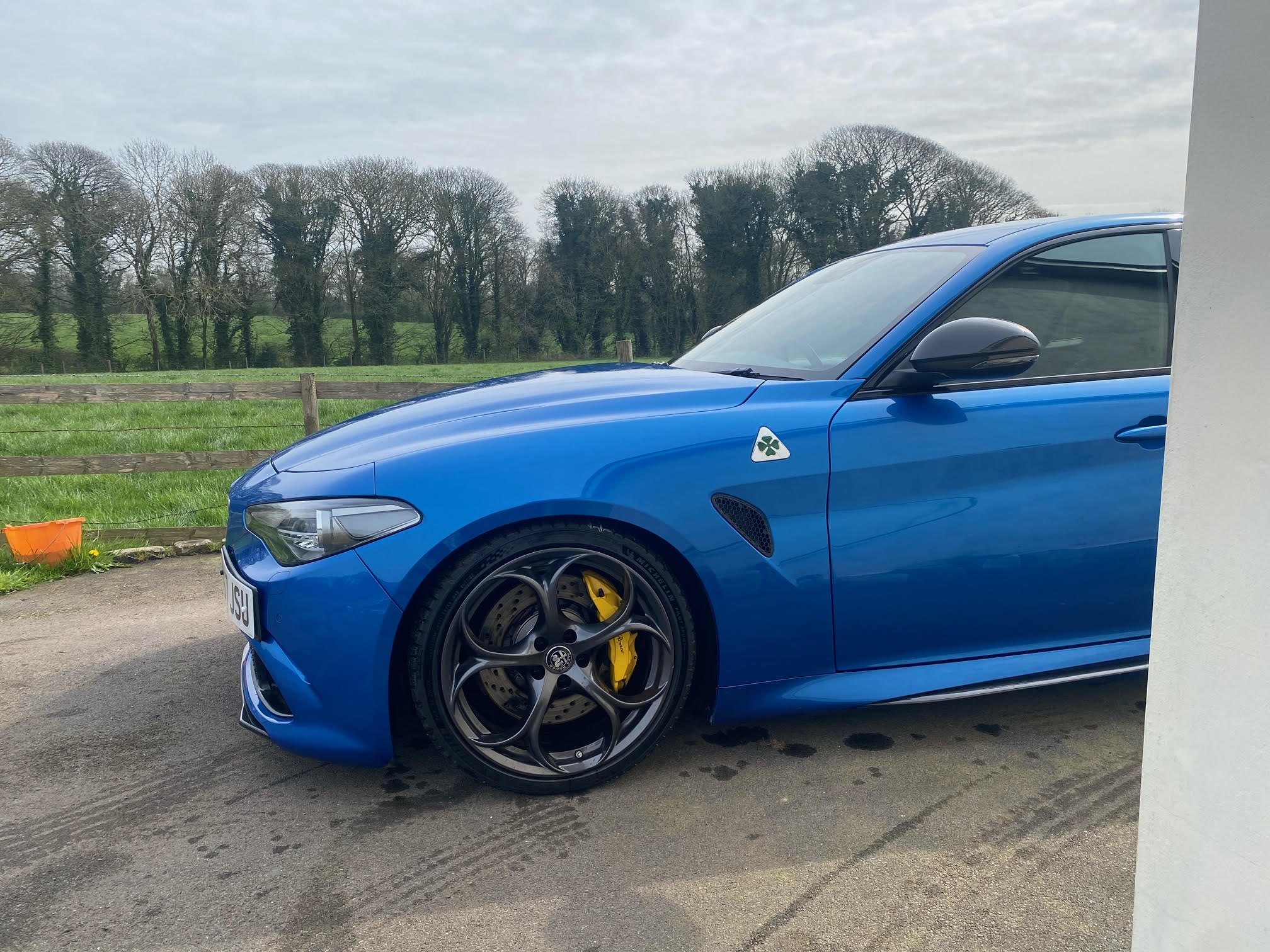 2017 Alfa Romeo Giulia Quadrifoglio for sale by classified listing ...