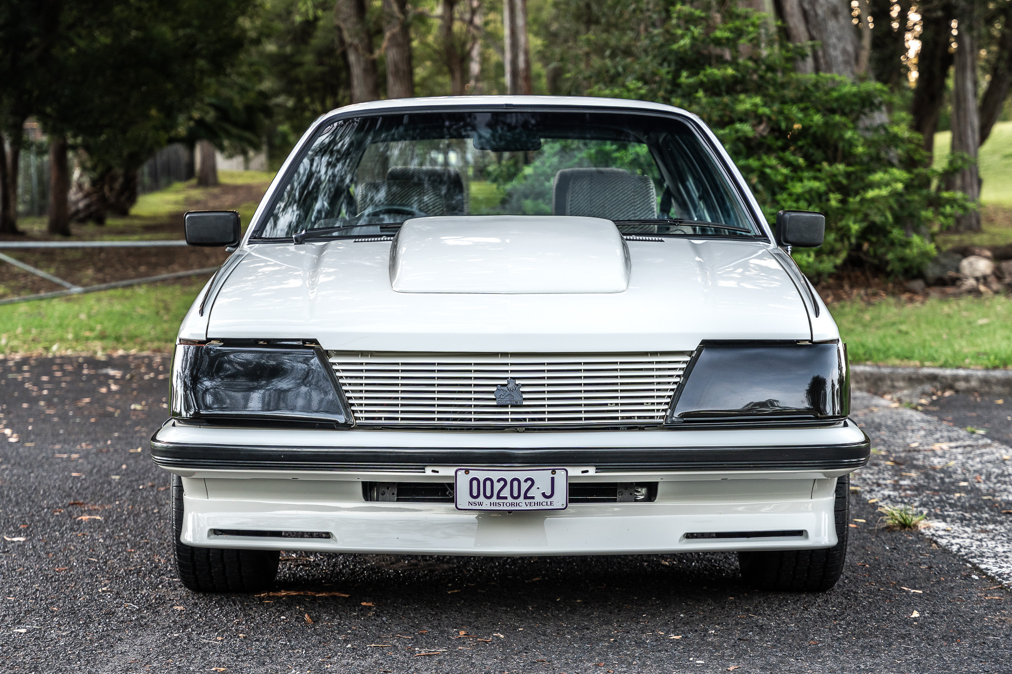 1983 Holden Commodore (VH) SS - HDT Group 3 for sale in Thornleigh, NSW ...