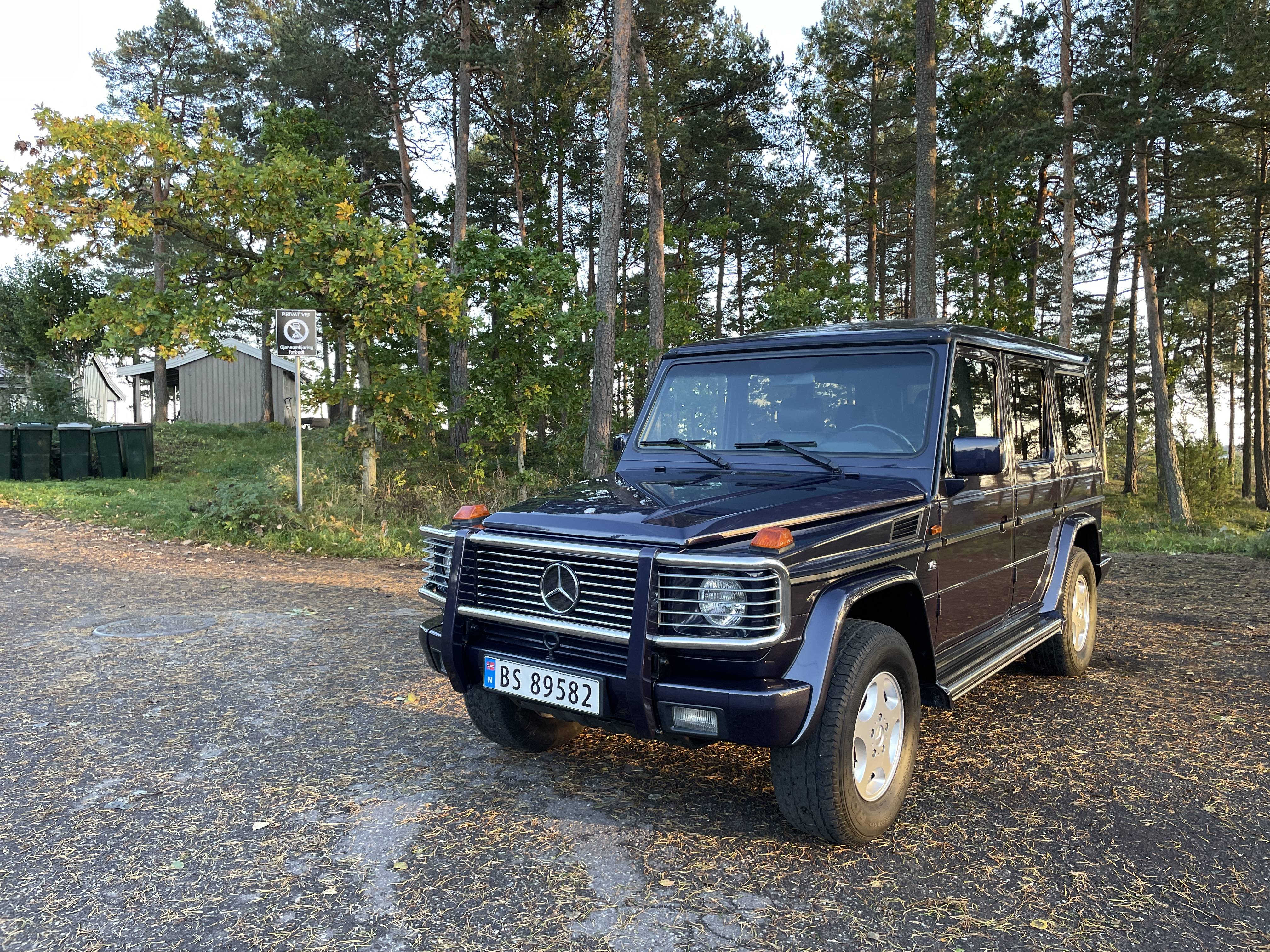 1993 Mercedes-Benz (W463) 500 GE for sale by auction in Tønsberg, Norway