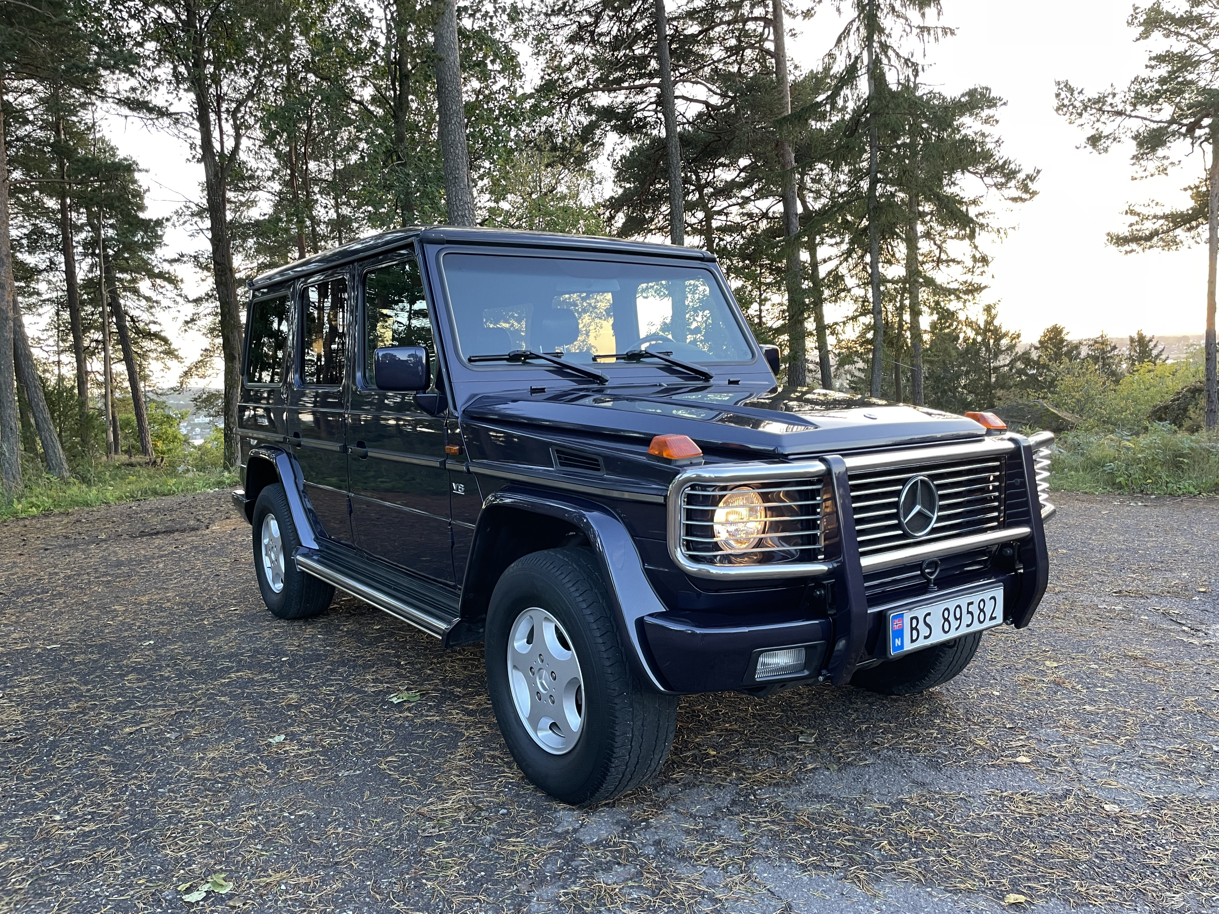 1993 Mercedes-Benz (W463) 500 GE for sale by auction in Tønsberg, Norway