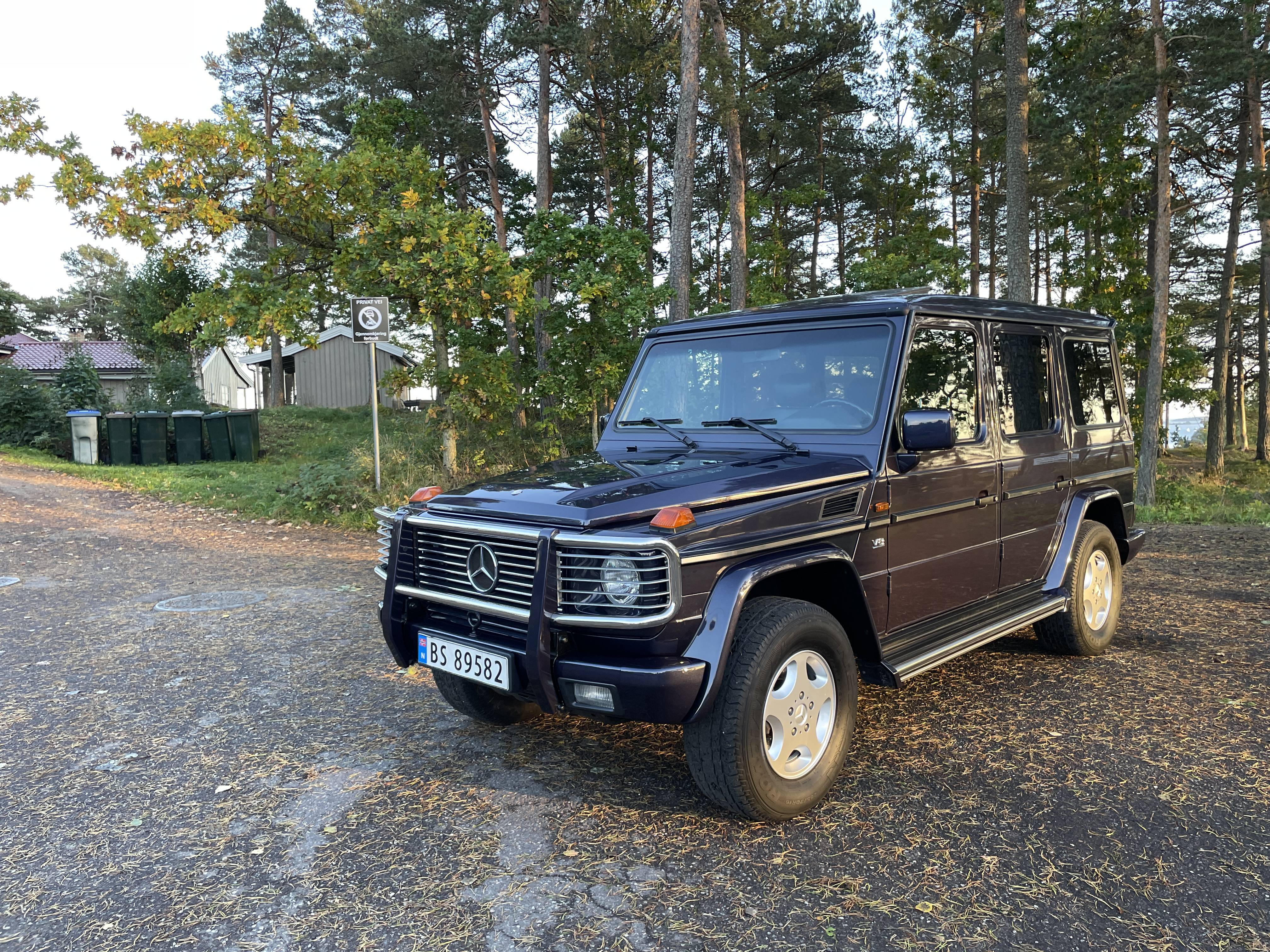 1993 Mercedes-Benz (W463) 500 GE for sale by auction in Tønsberg, Norway