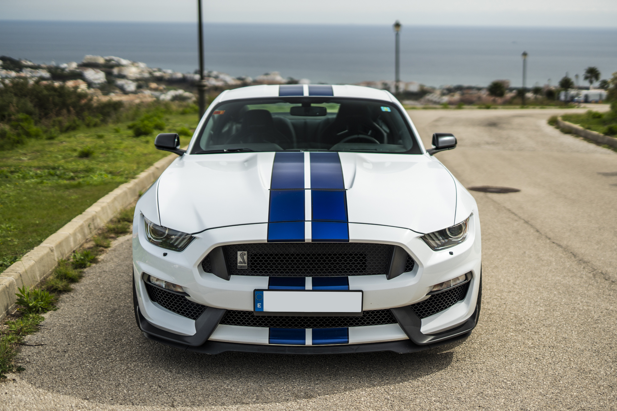 2017 Shelby GT350 'Track Pack' for sale by auction in Marbella, Spain