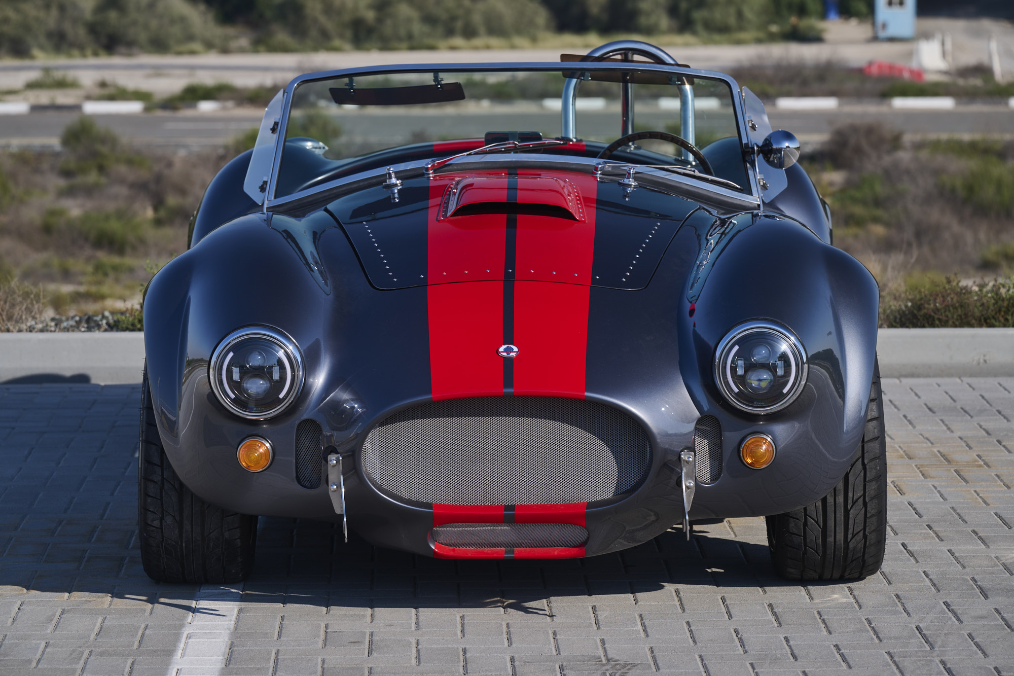 2014 Backdraft Racing RT3 - 1965 Shelby Cobra Replica for sale by ...
