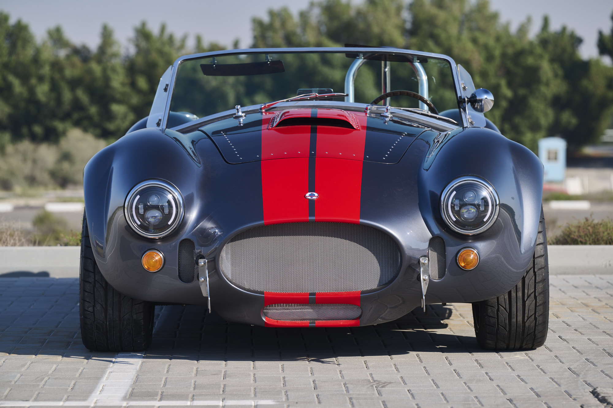 2014 Backdraft Racing RT3 - 1965 Shelby Cobra Replica for sale by ...