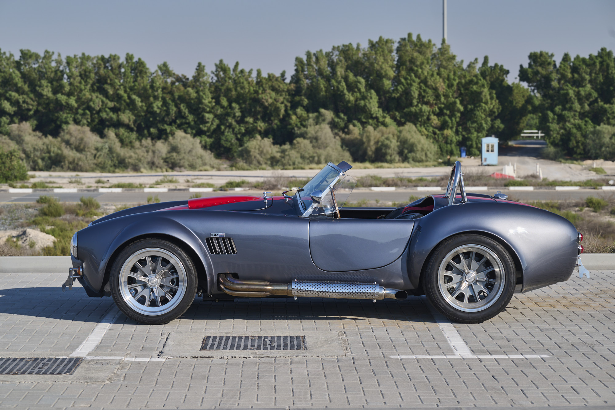 2014 Backdraft Racing RT3 - 1965 Shelby Cobra Replica for sale by ...