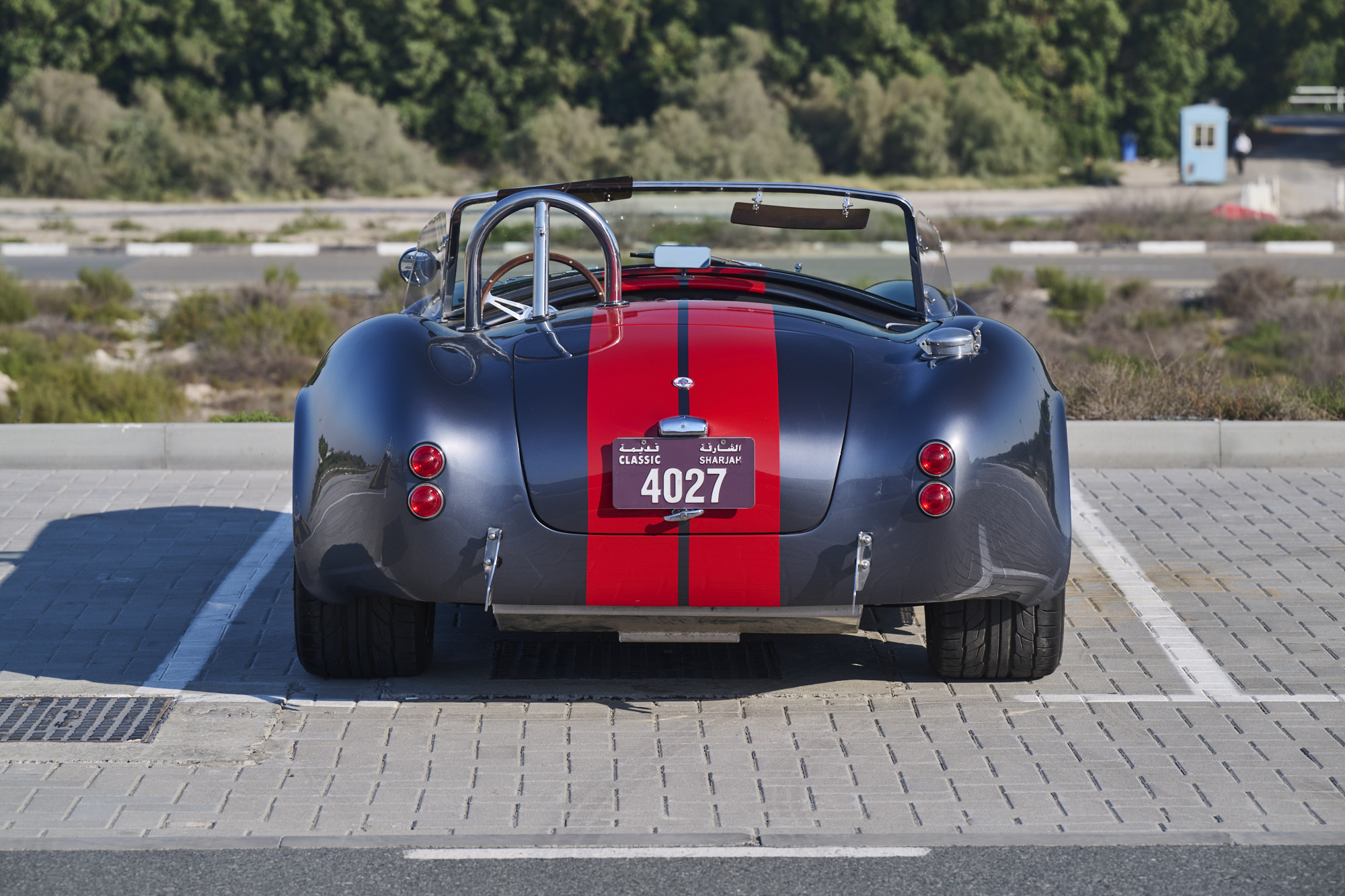 2014 Backdraft Racing RT3 - 1965 Shelby Cobra Replica for sale by ...
