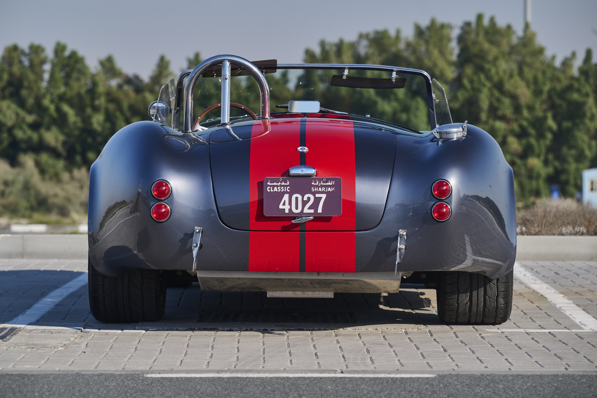 2014 Backdraft Racing RT3 - 1965 Shelby Cobra Replica for sale by ...