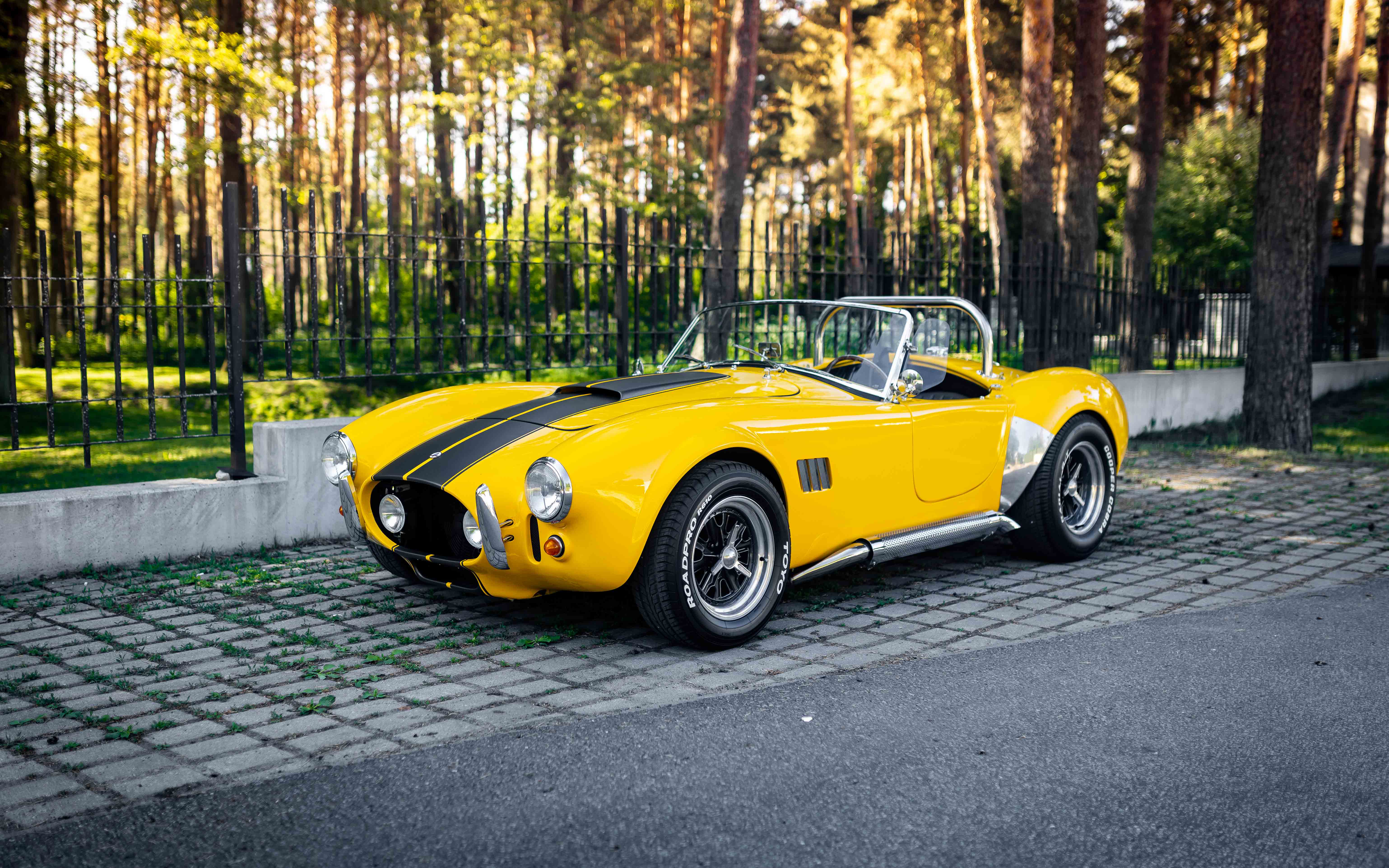 2003 Pilgrim Sumo AC Cobra Replica for sale by auction in Tallinn, Estonia