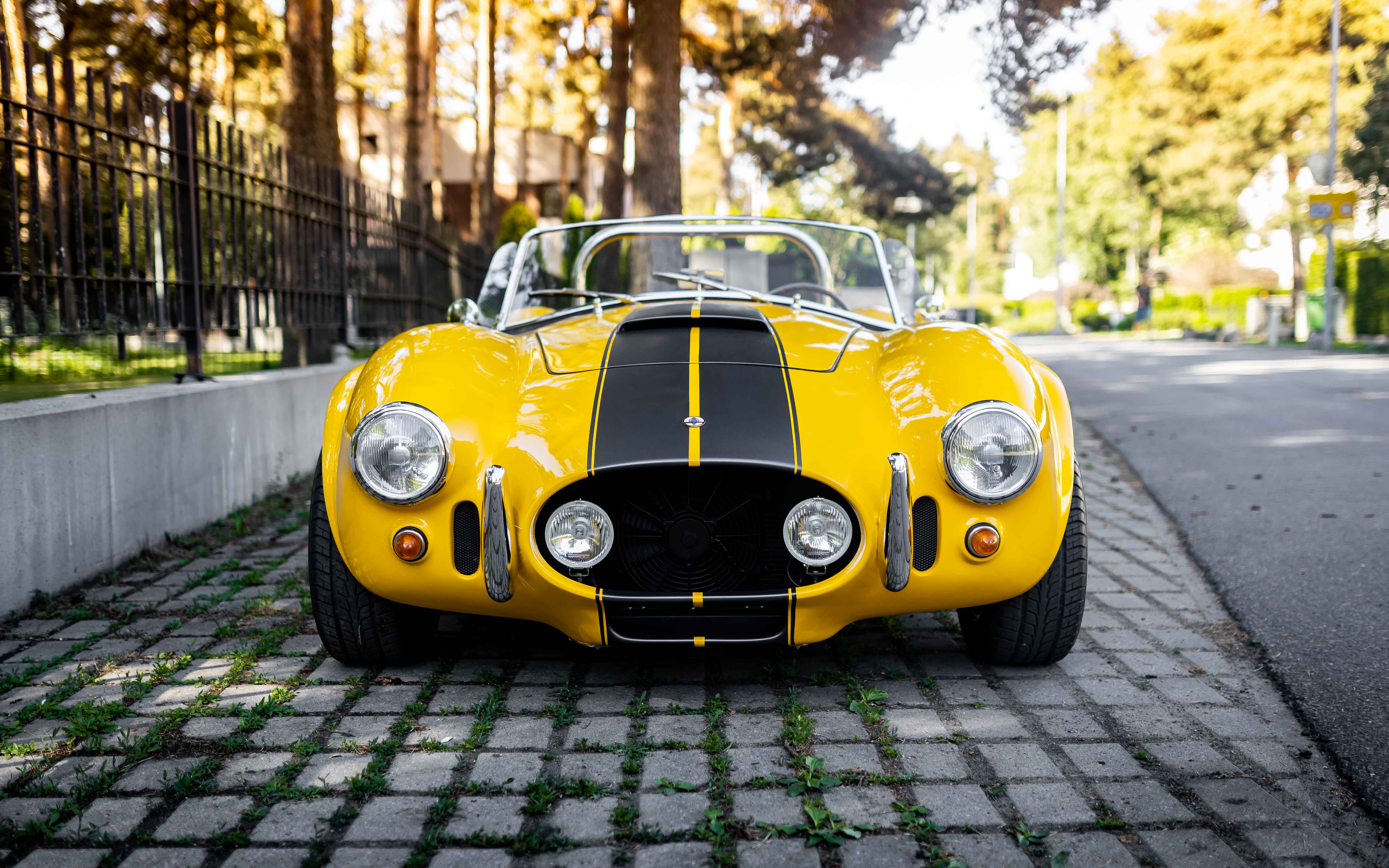 2003 Pilgrim Sumo AC Cobra Replica for sale by auction in Tallinn, Estonia