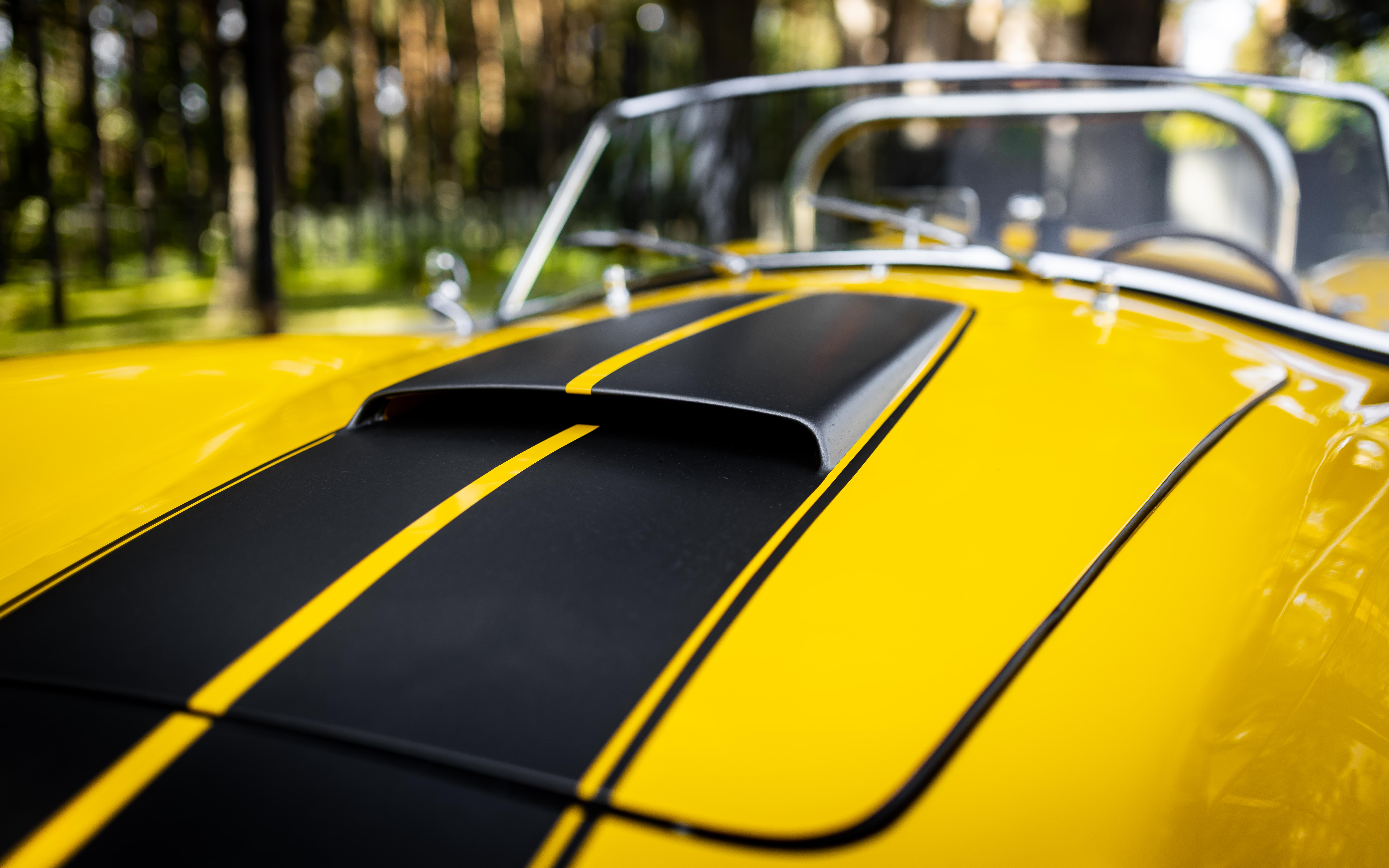 2003 Pilgrim Sumo AC Cobra Replica for sale by auction in Tallinn, Estonia