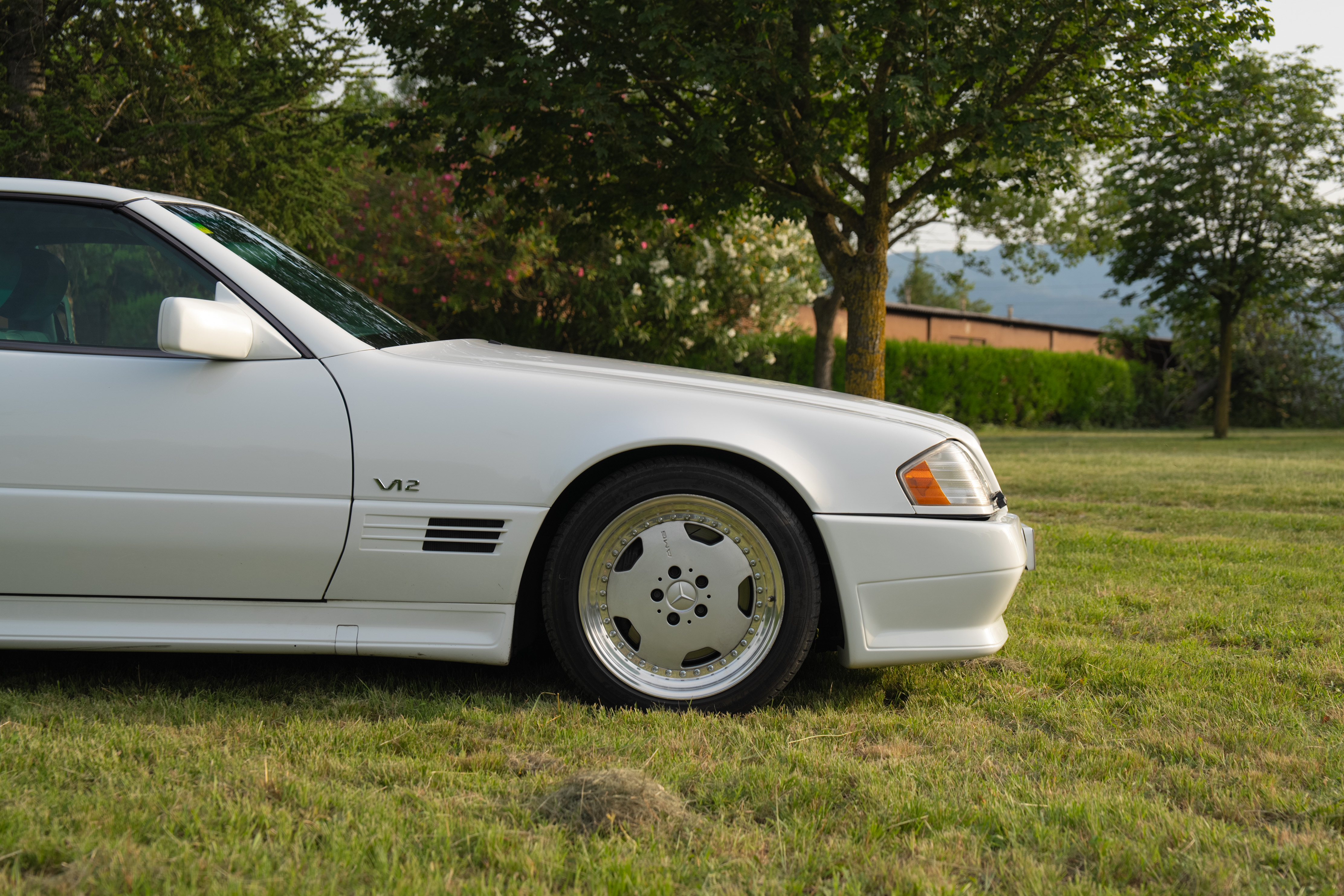 1993 Mercedes-Benz (R129) SL 600 AMG for sale by auction in Tortellà, Spain