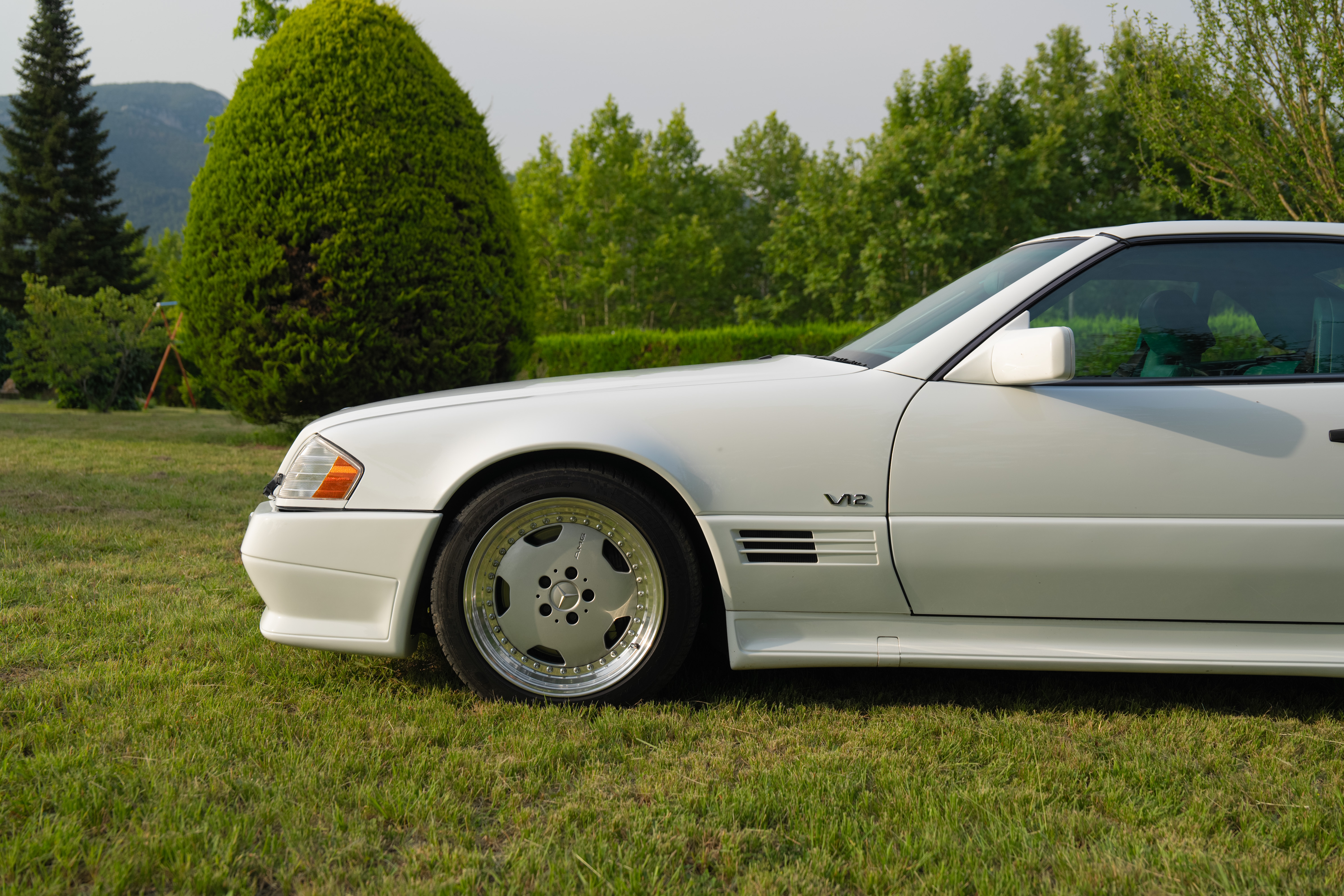 1993 Mercedes-Benz (R129) SL 600 AMG for sale by auction in Tortellà, Spain