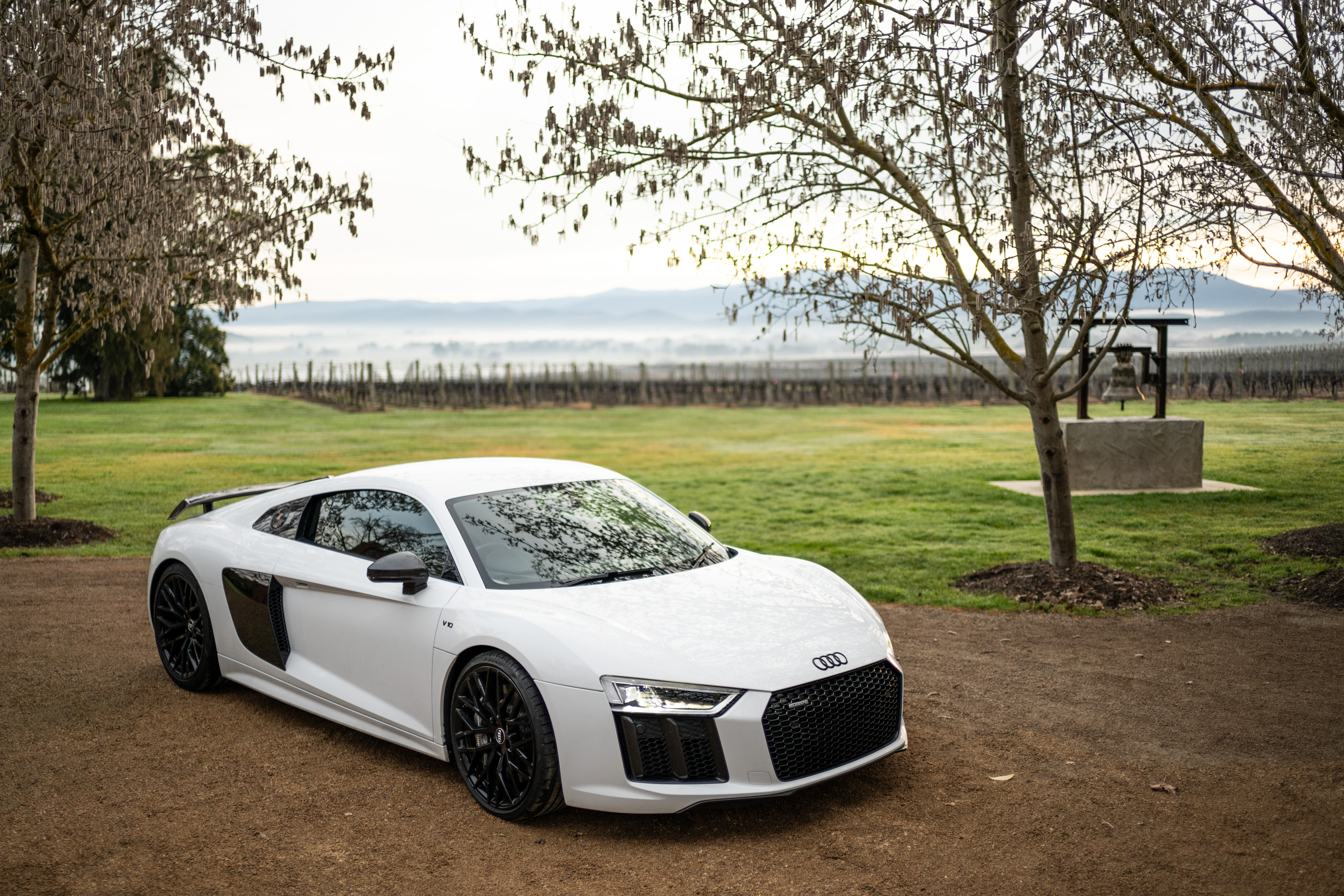 Audi R8 2024 Branco Ilustração Artísticos | Audi R8 Sport Car In