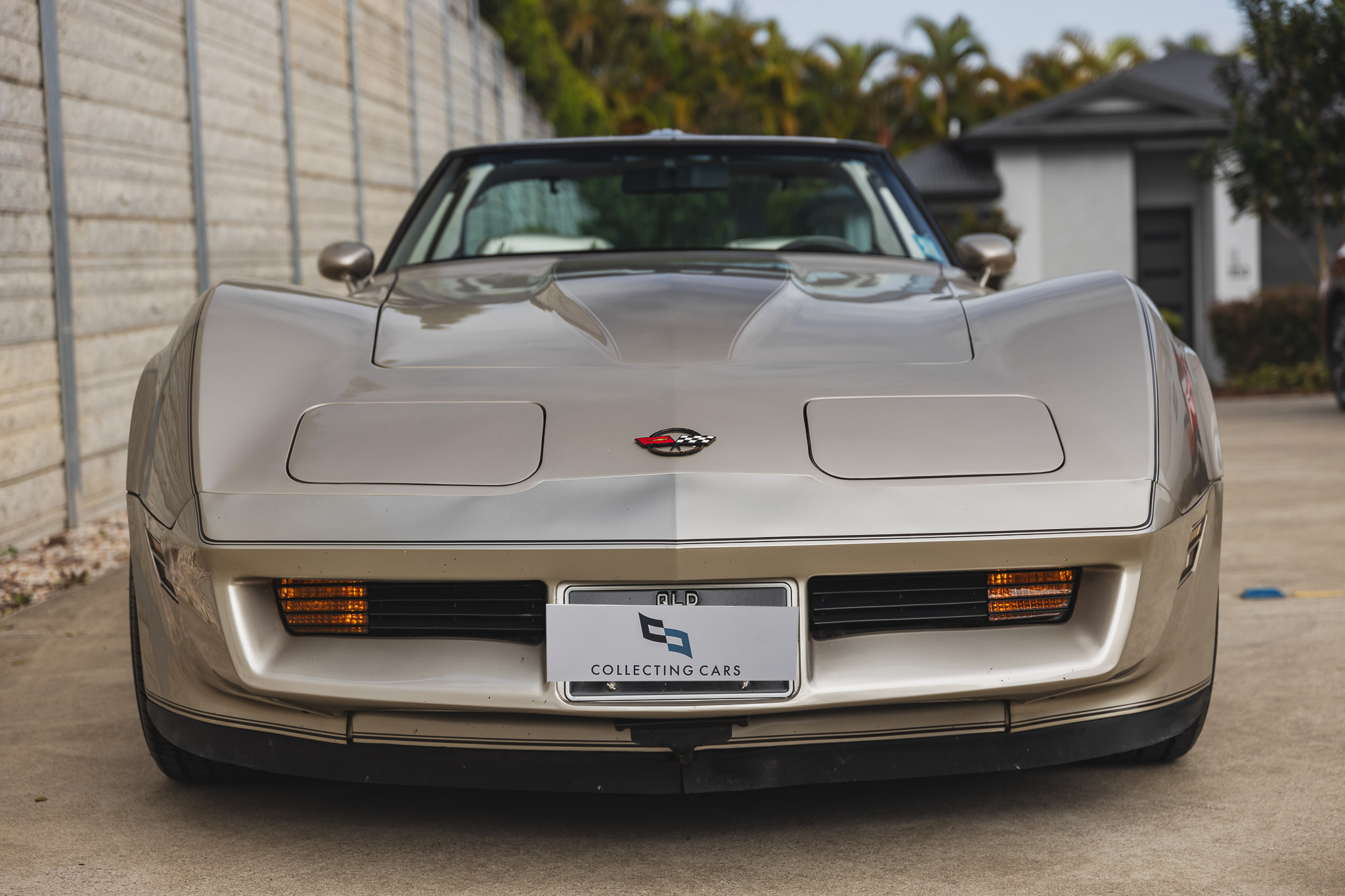 1982 Chevrolet Corvette Stingray (C3) - Collectors Edition for sale by ...