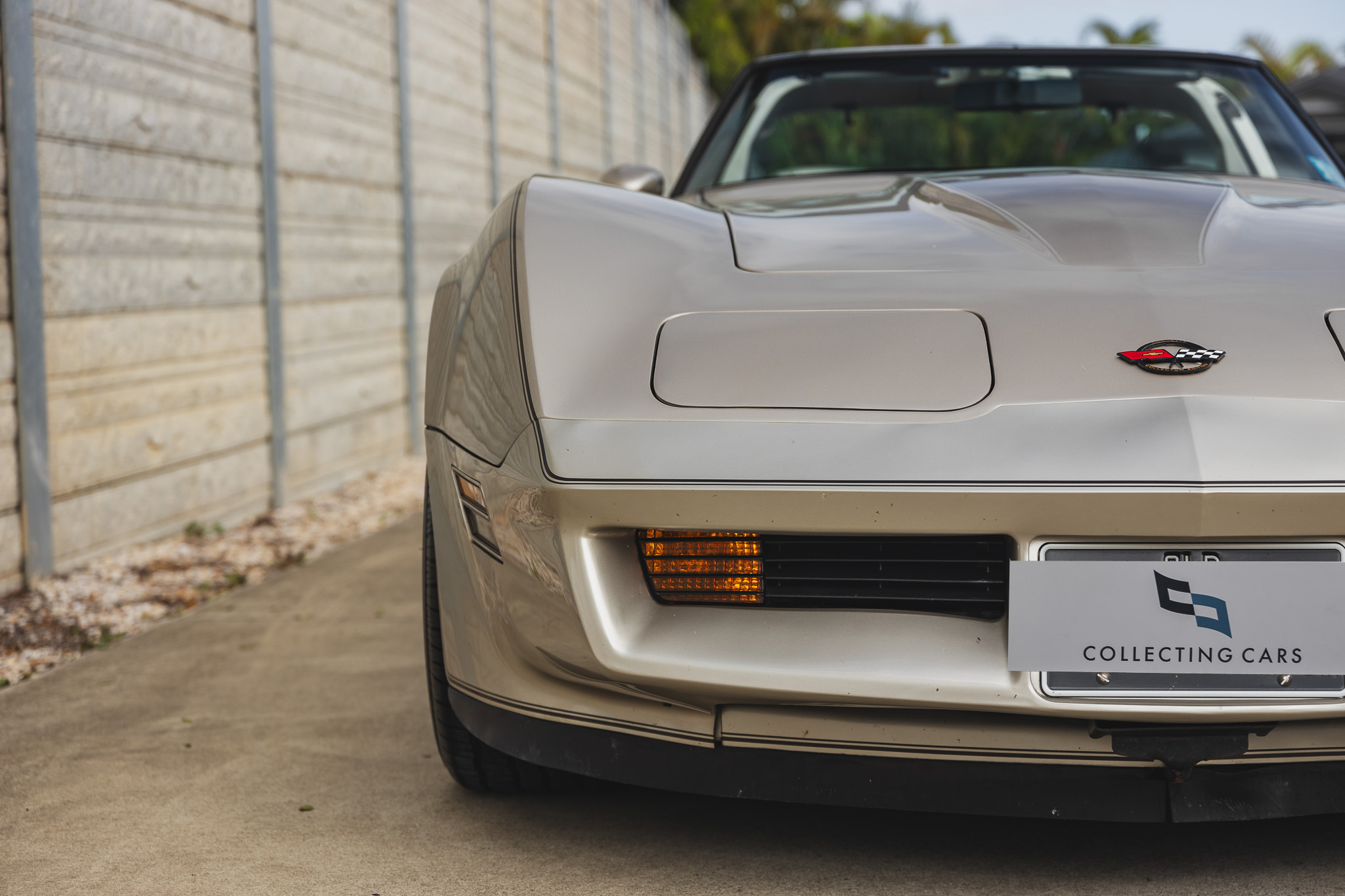 1982 Chevrolet Corvette Stingray (C3) - Collectors Edition for sale by ...