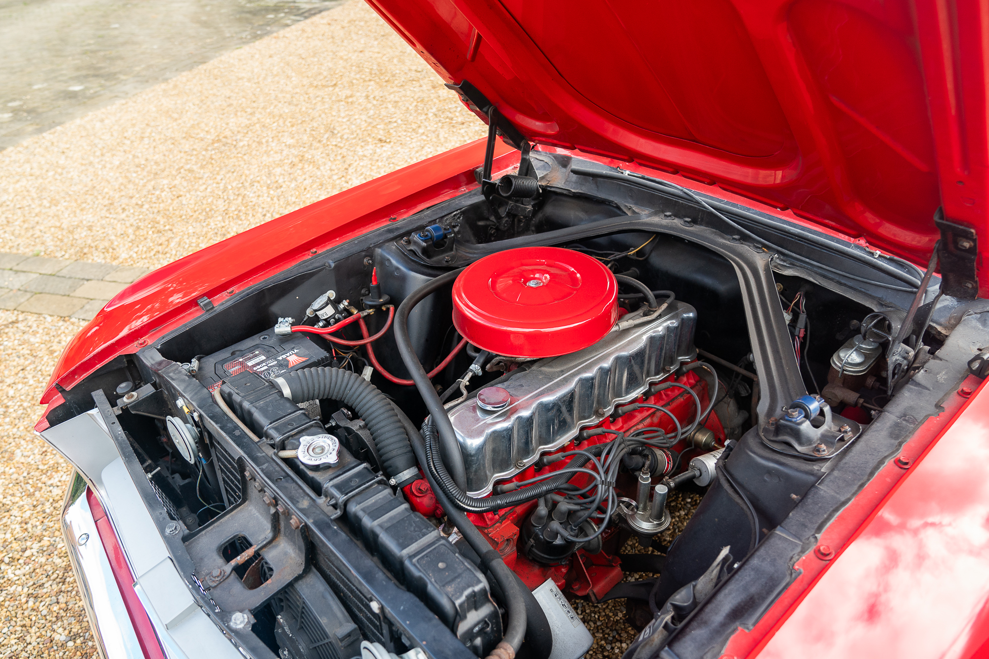 Lustige Ford Mustang Meme Amazon.com: Mustangs Machen Mich Glücklich