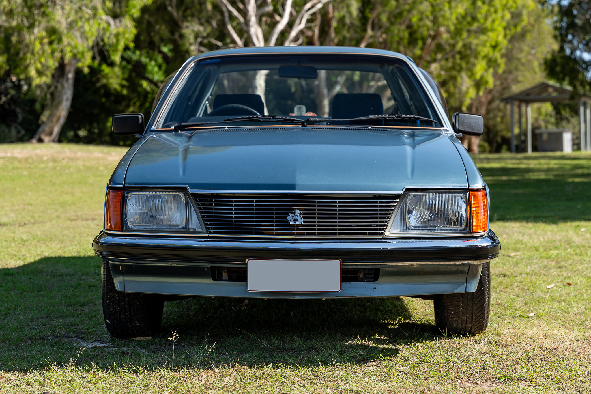 1981 Holden Commodore (VH) SL/X for sale by auction in Kingscliff, NSW ...