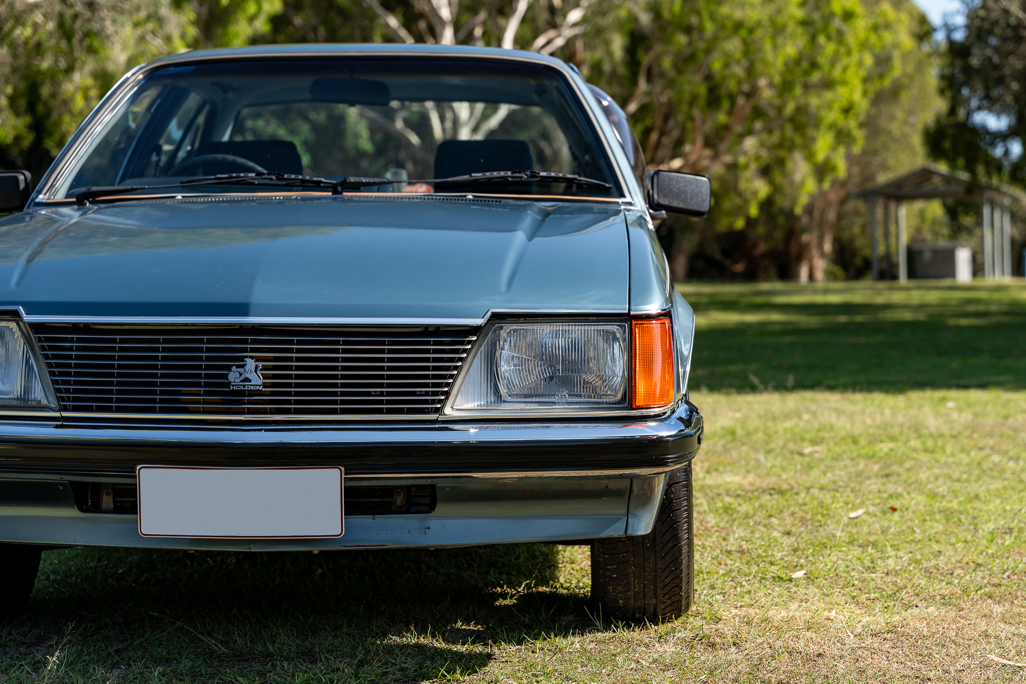1981 Holden Commodore (VH) SL/X for sale by auction in Kingscliff, NSW ...