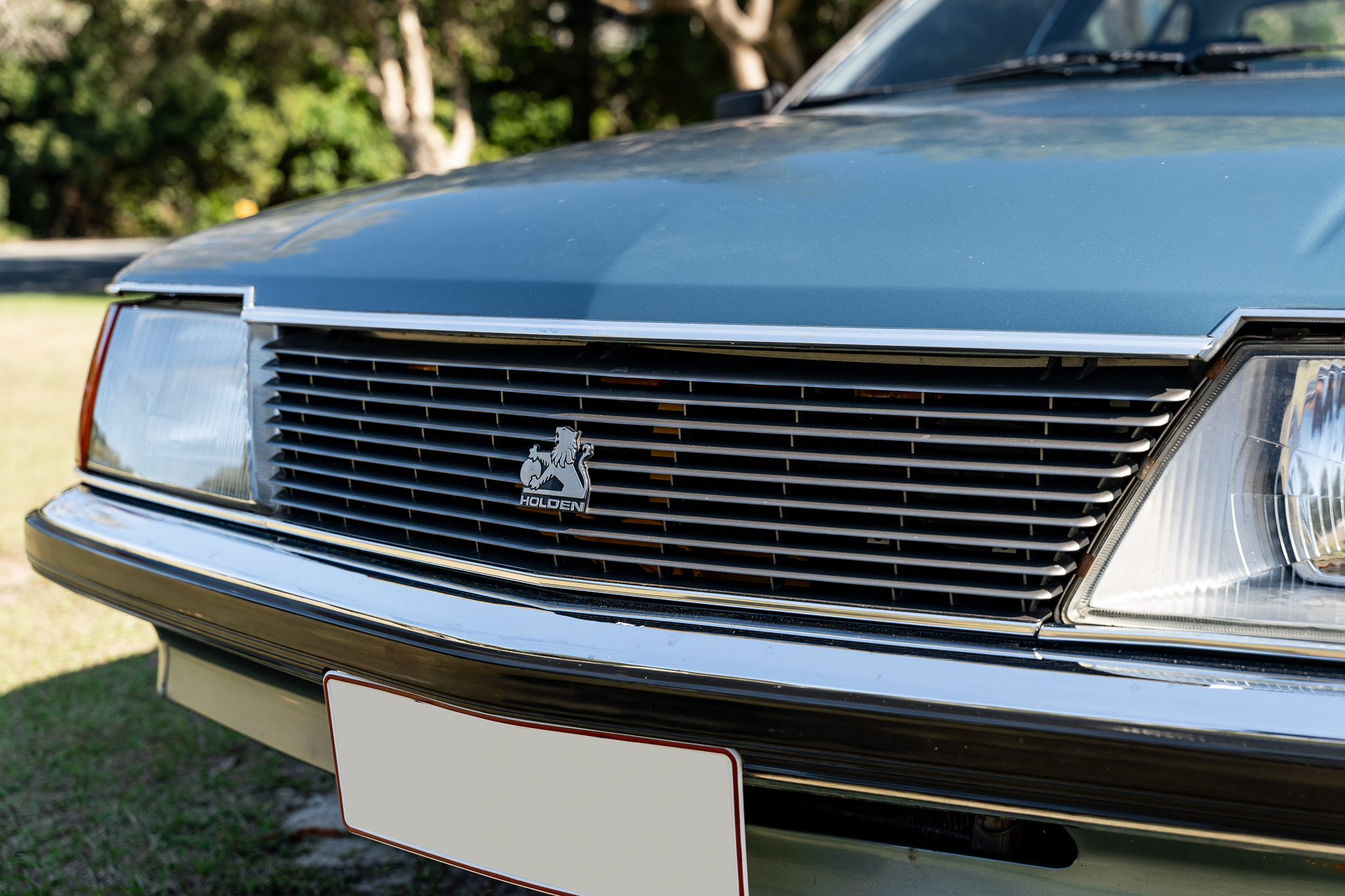 1981 Holden Commodore (VH) SL/X for sale by auction in Kingscliff, NSW ...