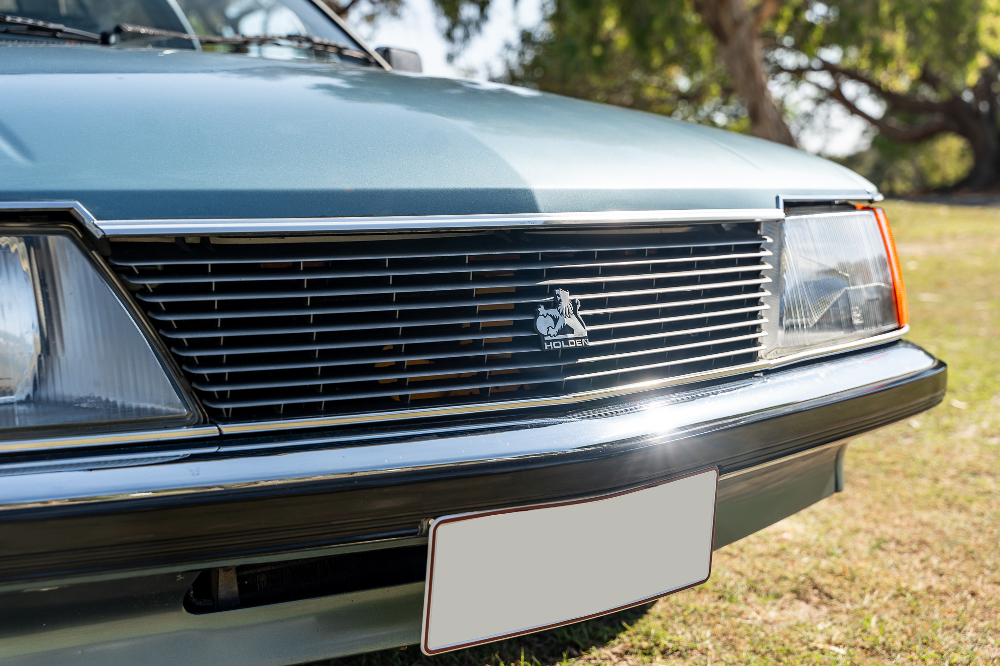 1981 Holden Commodore (VH) SL/X for sale by auction in Kingscliff, NSW ...