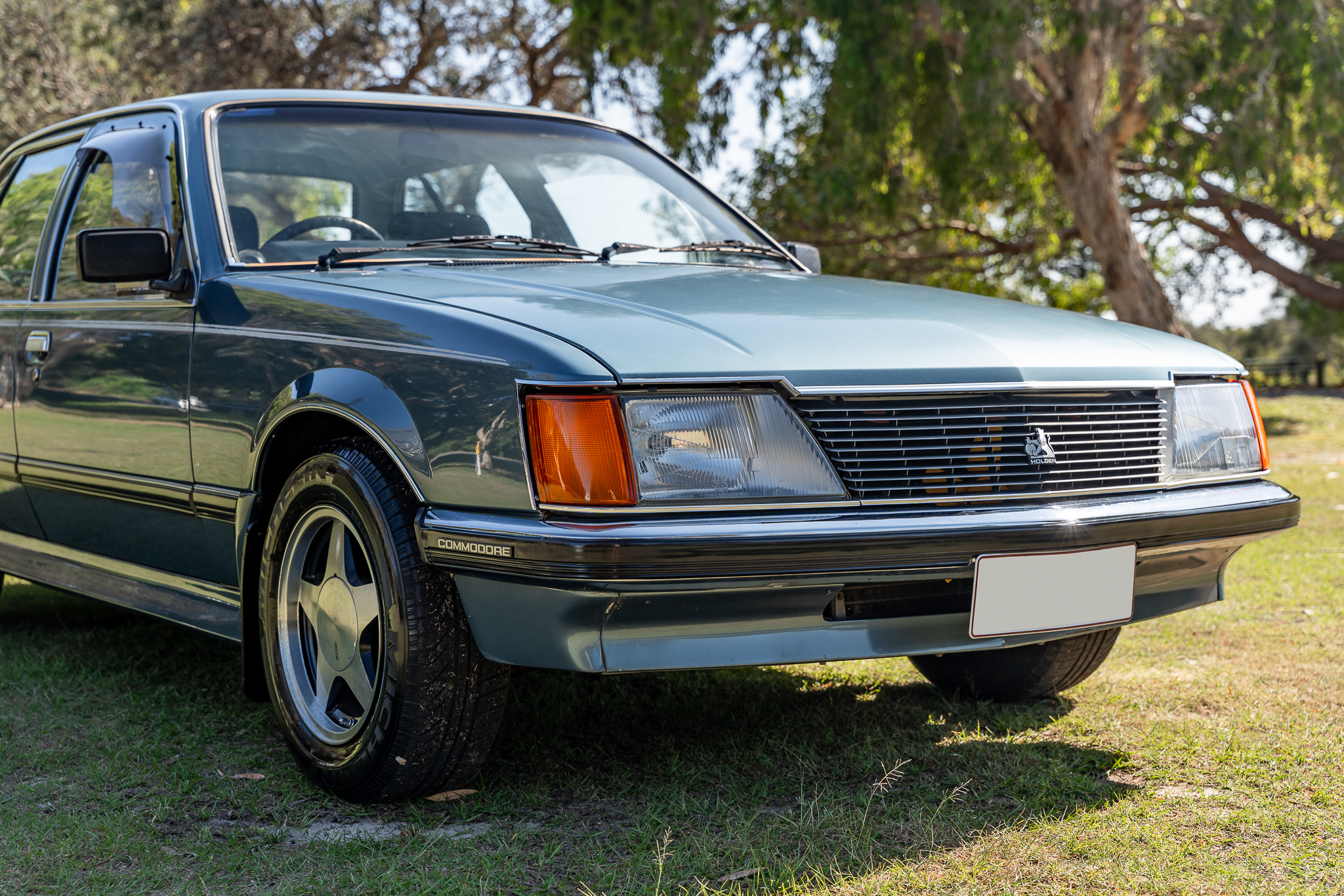 1981 Holden Commodore (VH) SL/X for sale by auction in Kingscliff, NSW ...