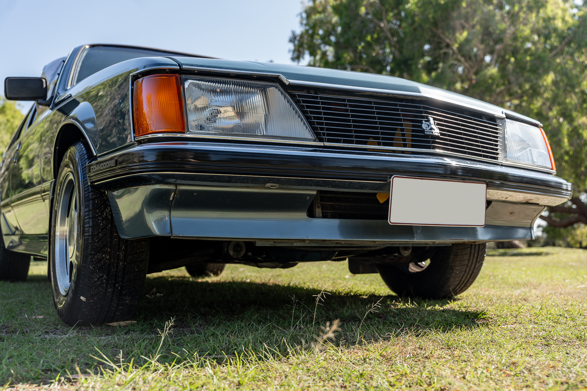 1981 Holden Commodore (VH) SL/X for sale by auction in Kingscliff, NSW ...
