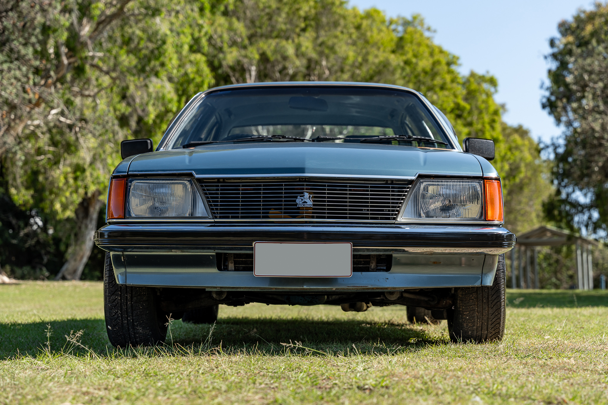 1981 Holden Commodore (VH) SL/X for sale by auction in Kingscliff, NSW ...