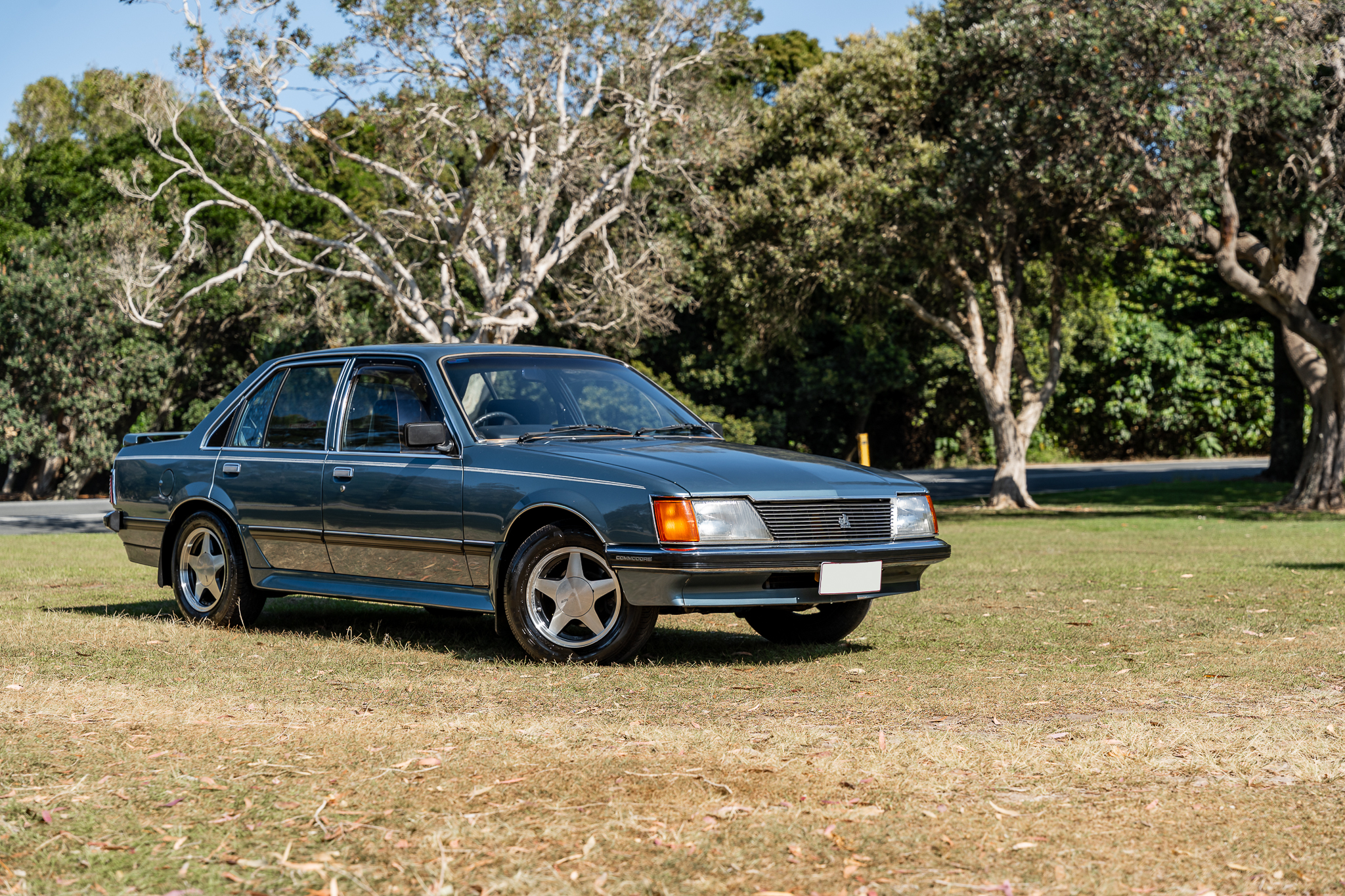 1981 Holden Commodore (VH) SL/X for sale by auction in Kingscliff, NSW ...