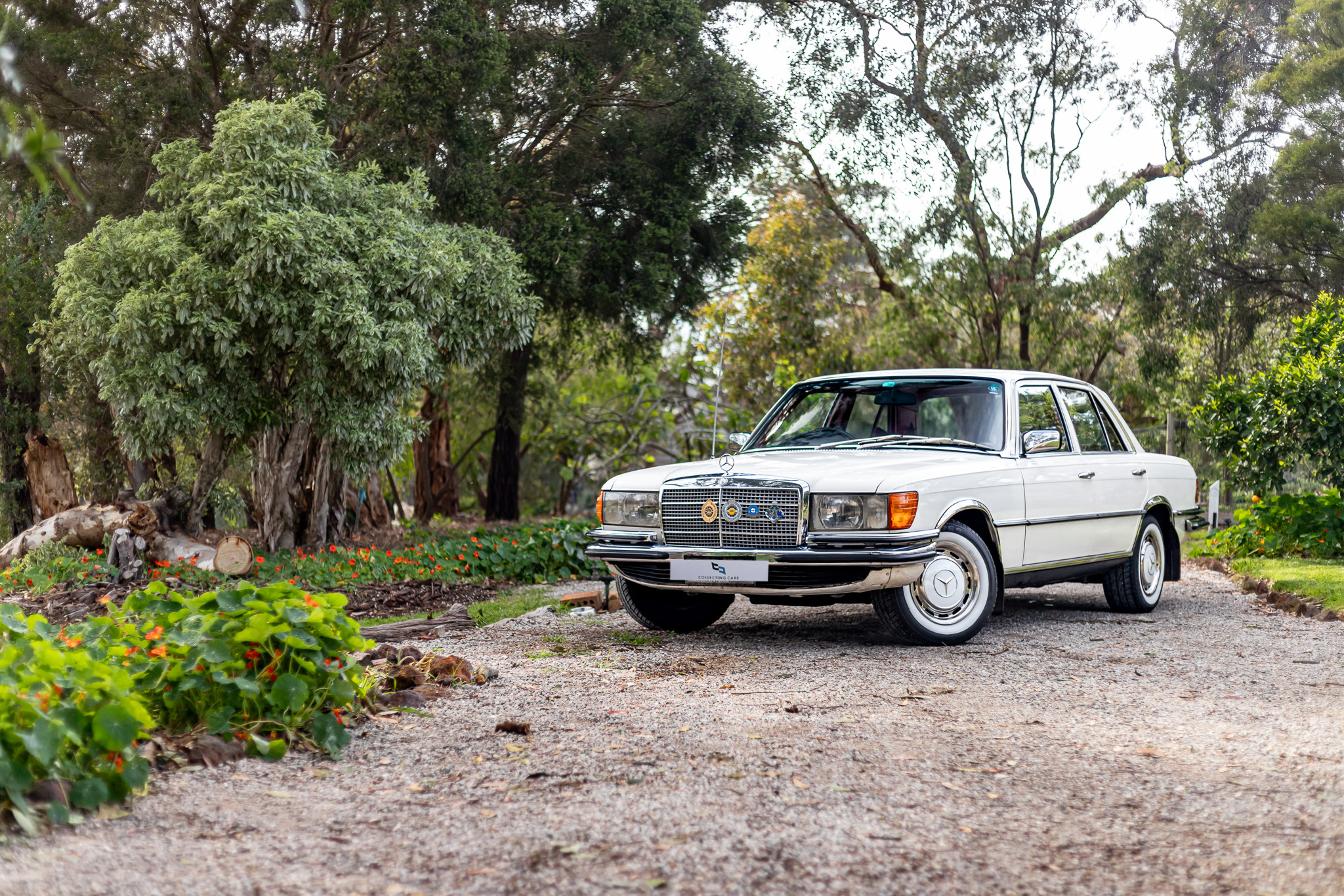 1972 Mercedes-Benz (W116) 280 SE for sale by auction in Wallington, VIC ...