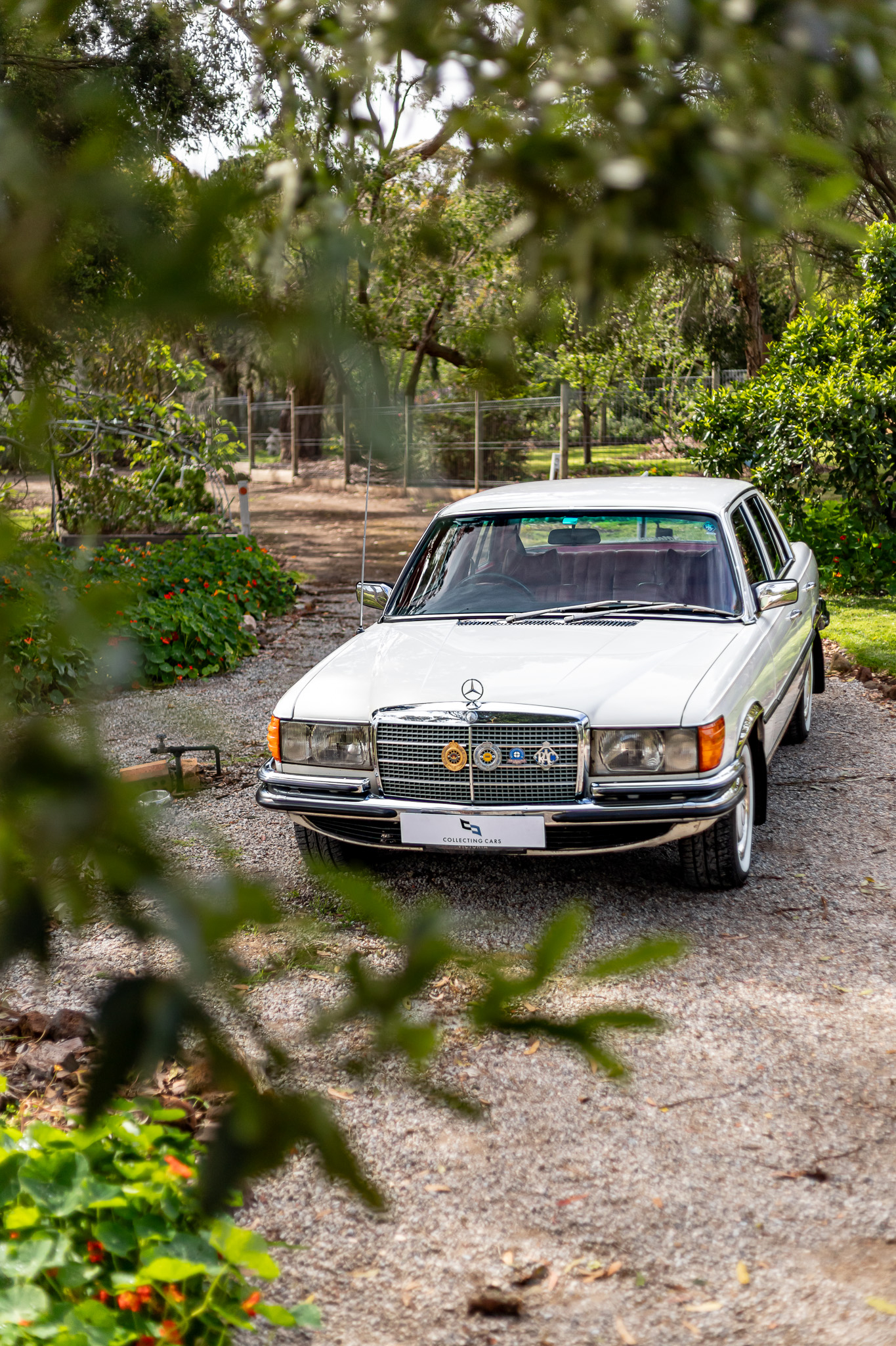 1972 Mercedes-Benz (W116) 280 SE for sale by auction in Wallington, VIC ...