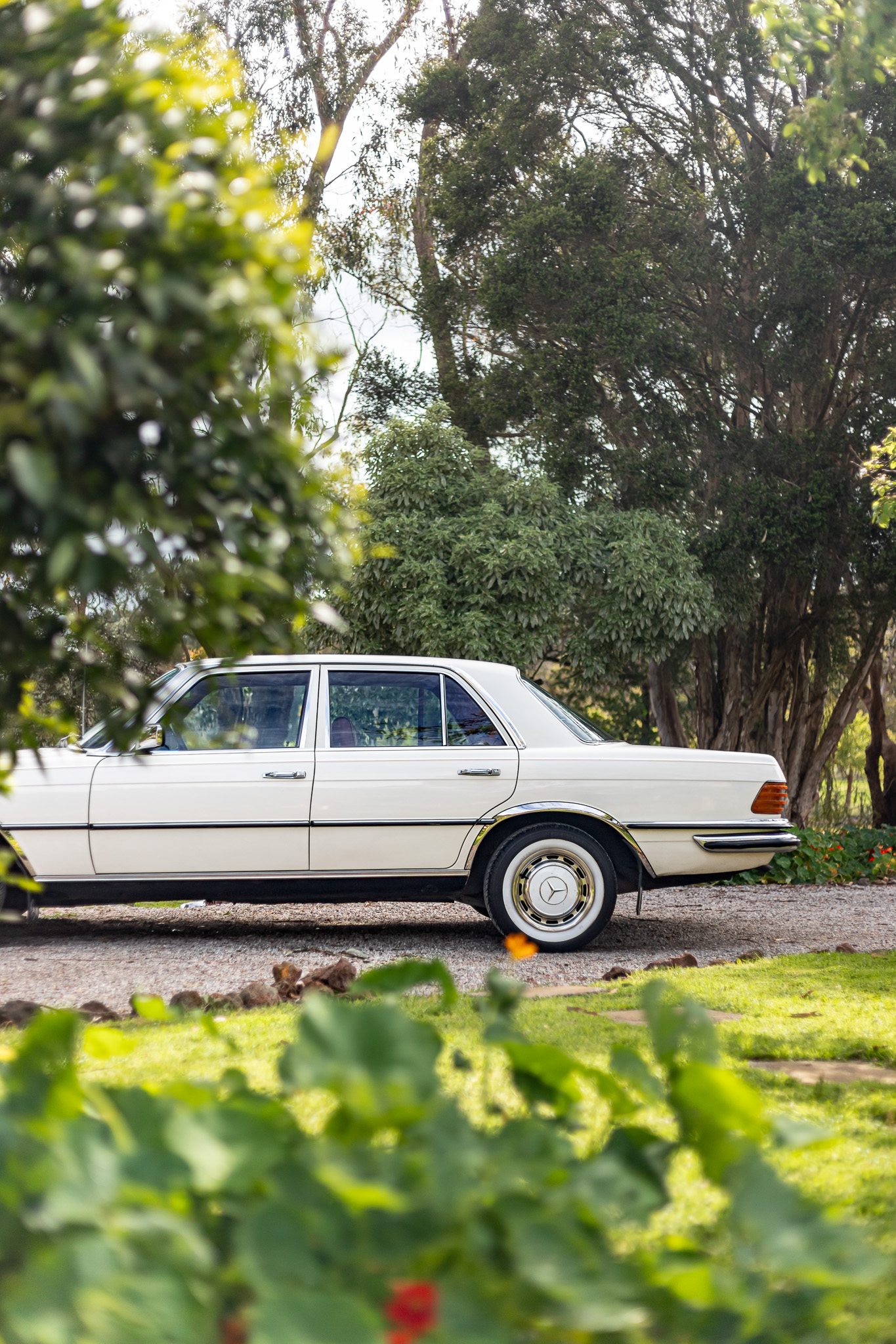 1972 Mercedes-Benz (W116) 280 SE for sale by auction in Wallington, VIC ...