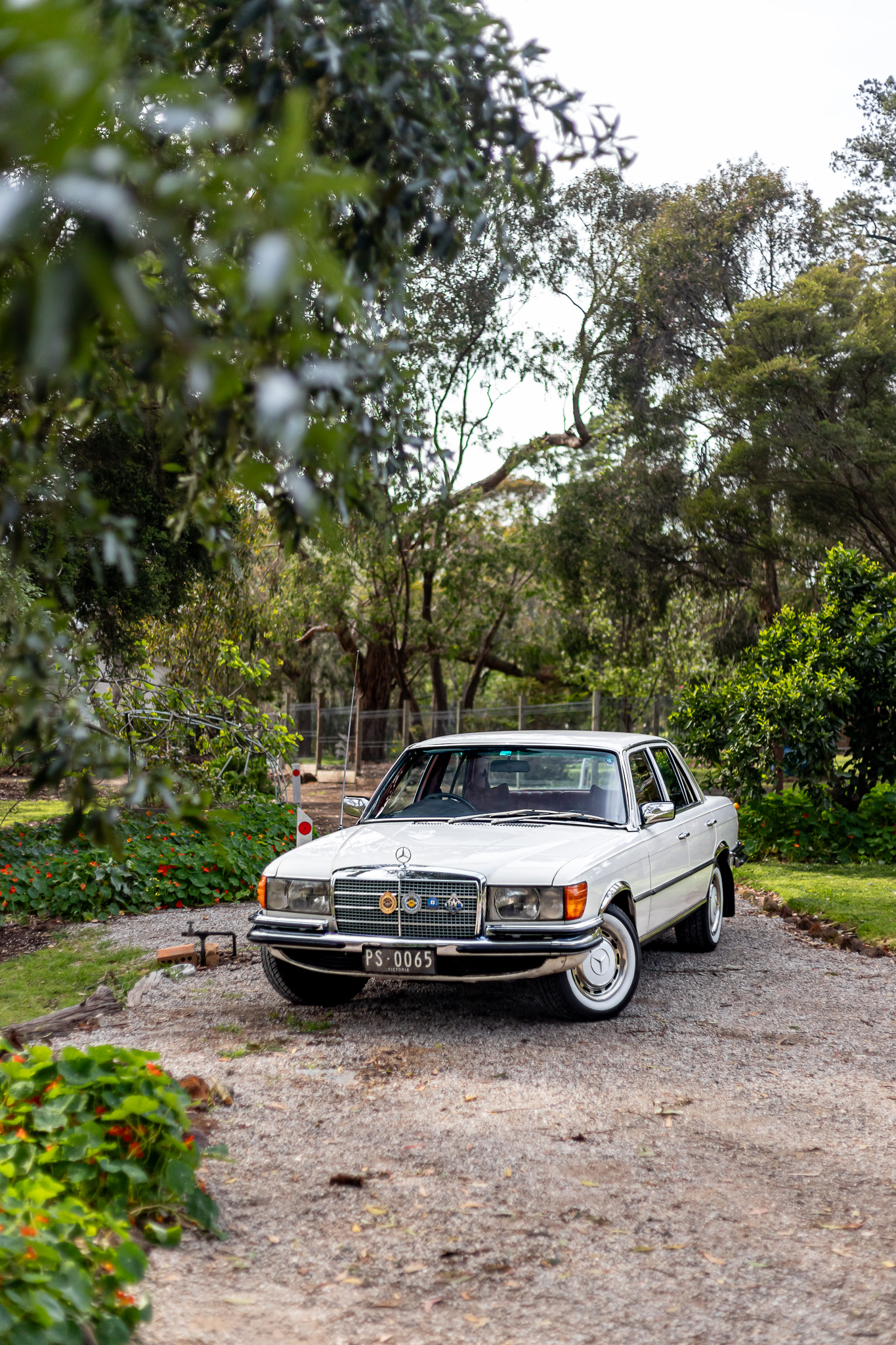 1972 Mercedes-Benz (W116) 280 SE for sale by auction in Wallington, VIC ...