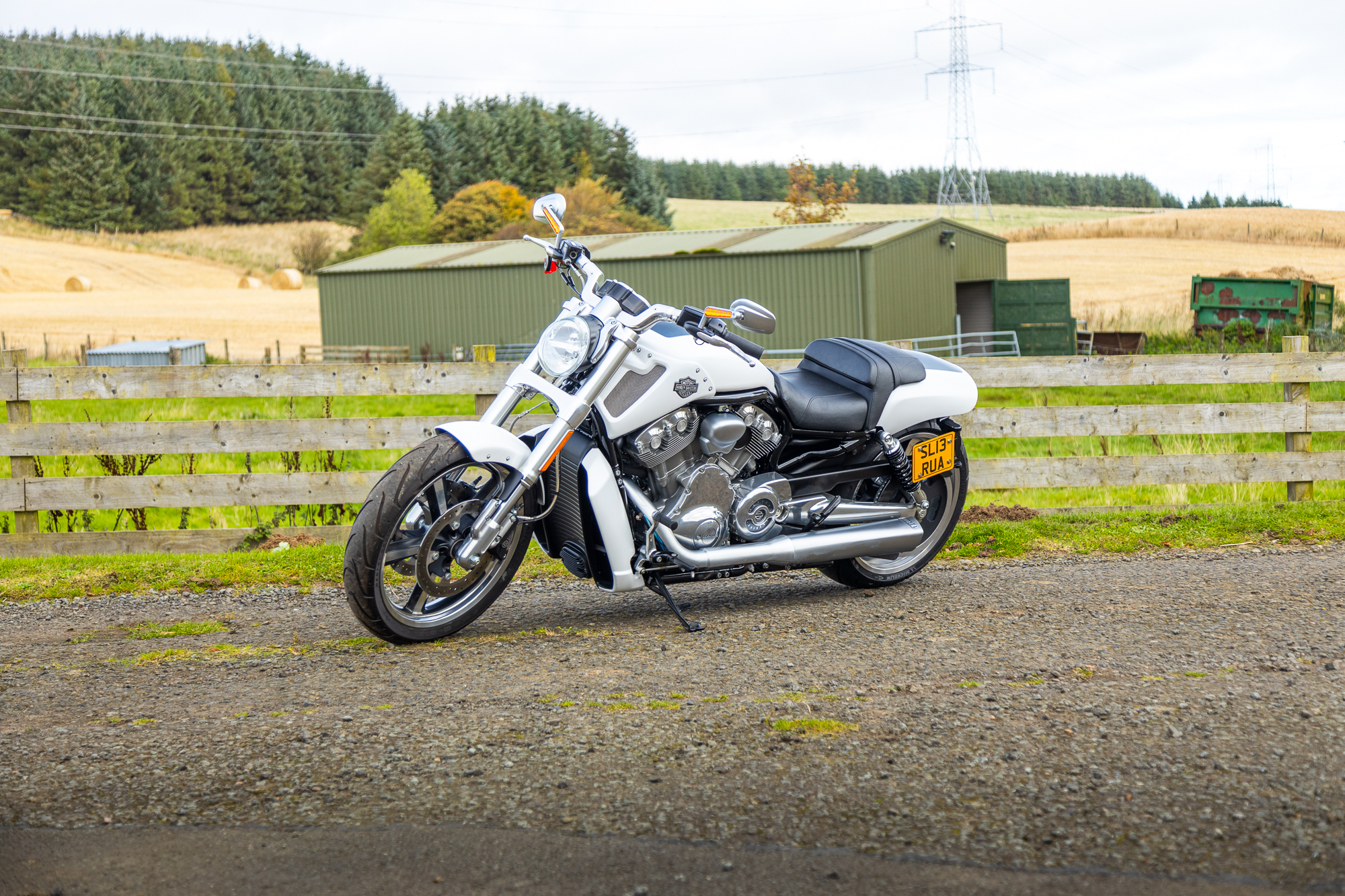2013 Harley-Davidson VRSCF V-Rod Muscle - 231 miles for sale by auction ...