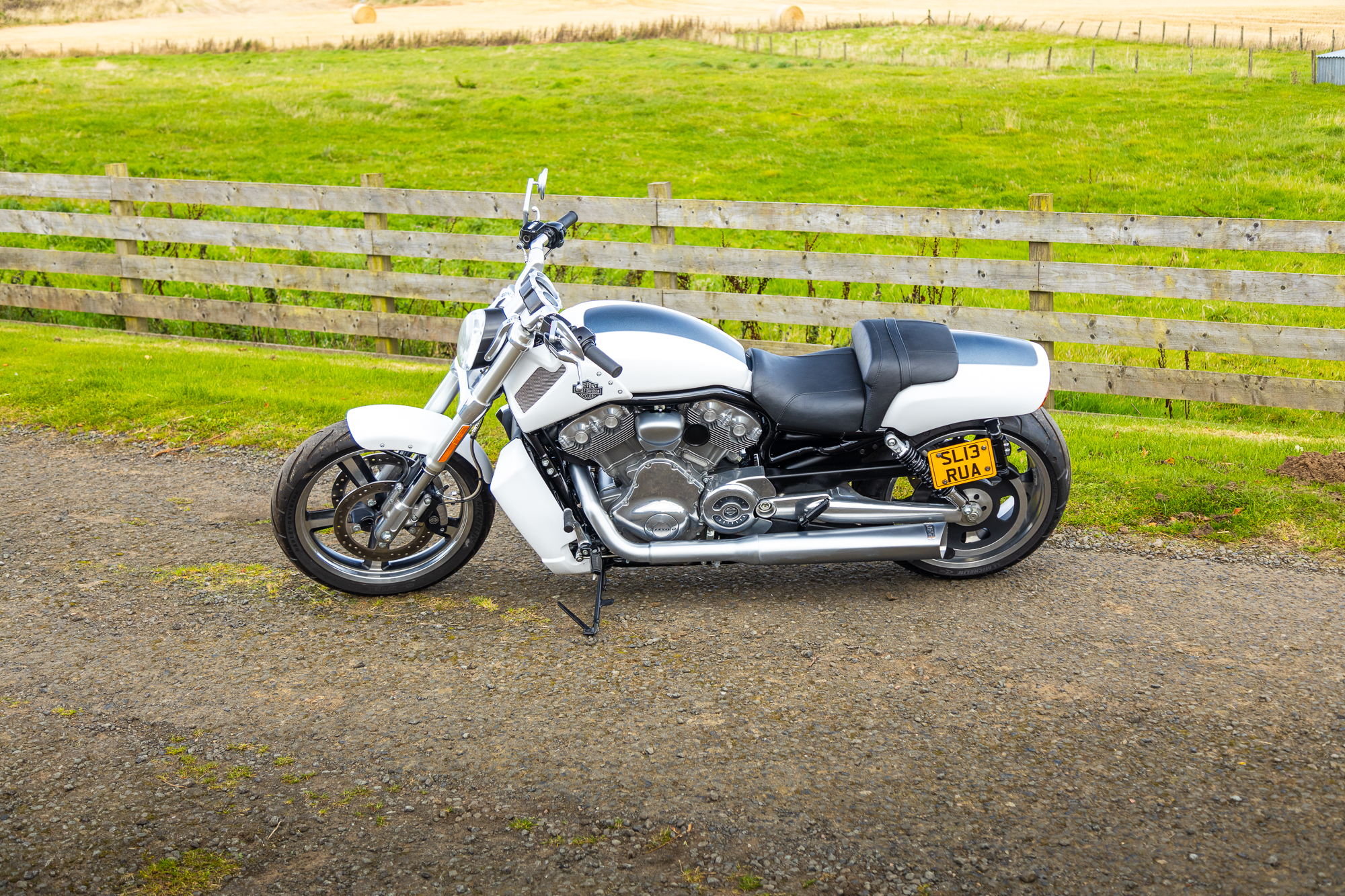 2013 Harley-Davidson VRSCF V-Rod Muscle - 231 miles for sale by auction ...