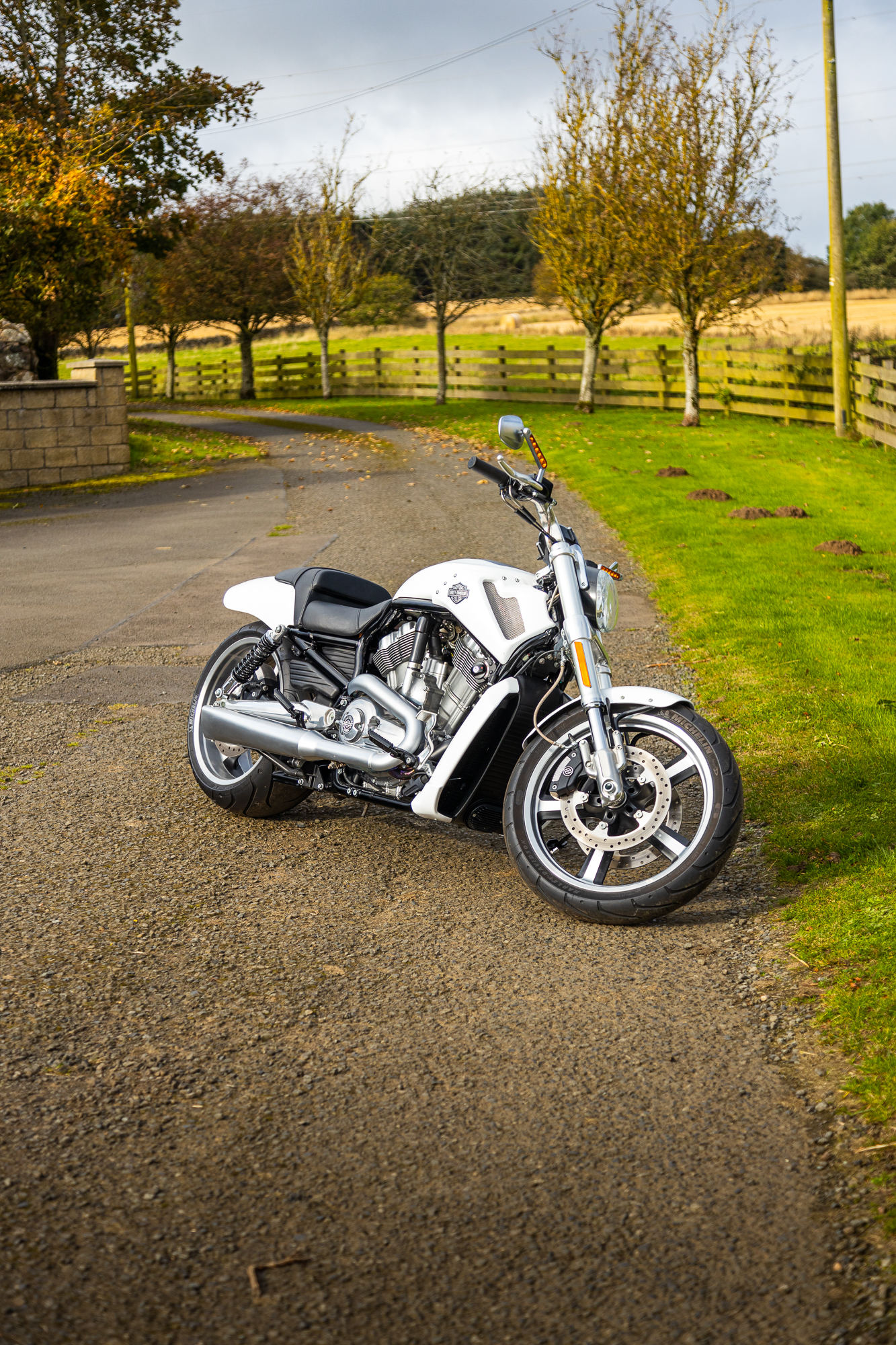 2013 Harley-Davidson VRSCF V-Rod Muscle - 231 miles for sale by auction ...