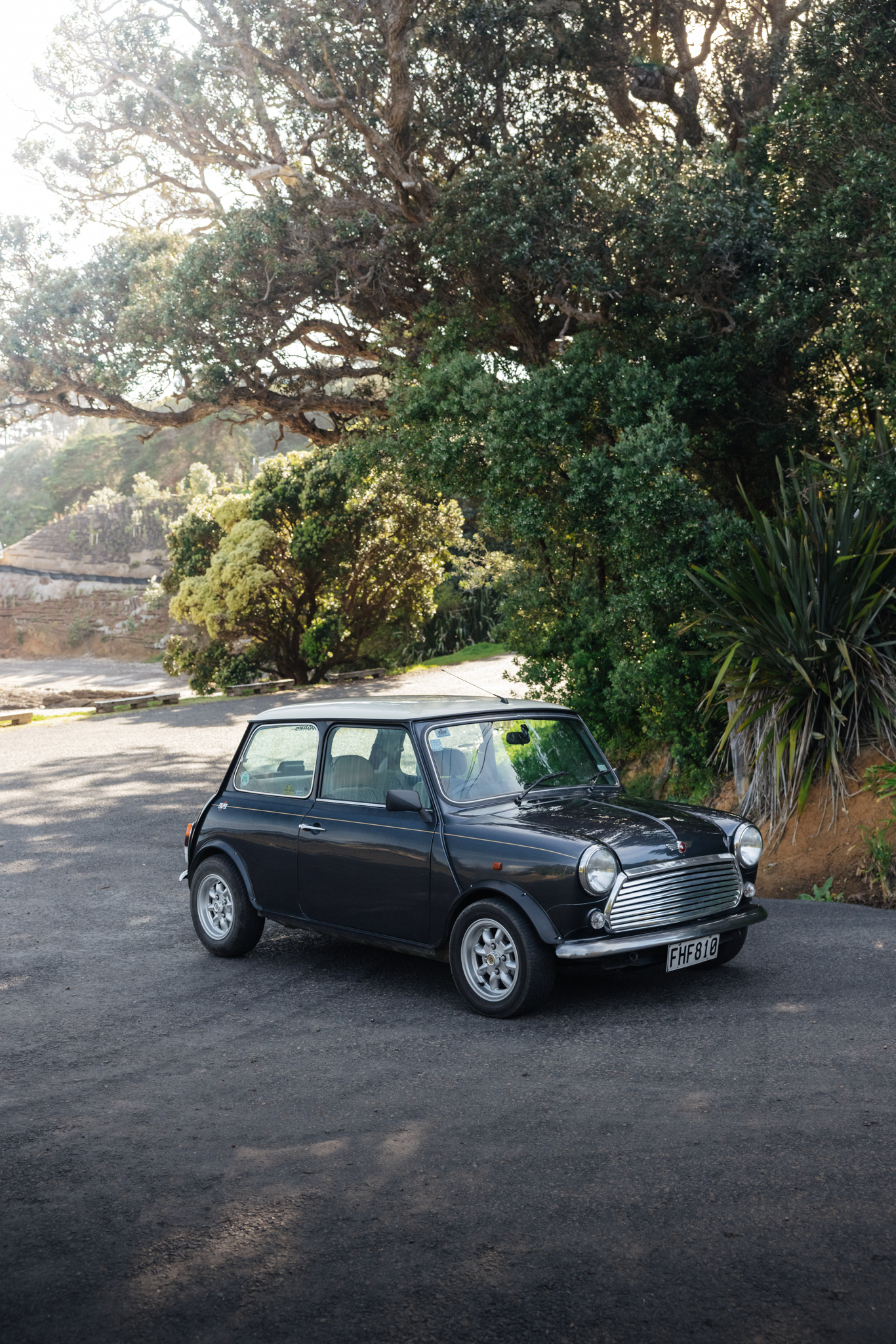 1997 Rover Mini John Cooper S Works for sale by auction in Auckland, NZ ...