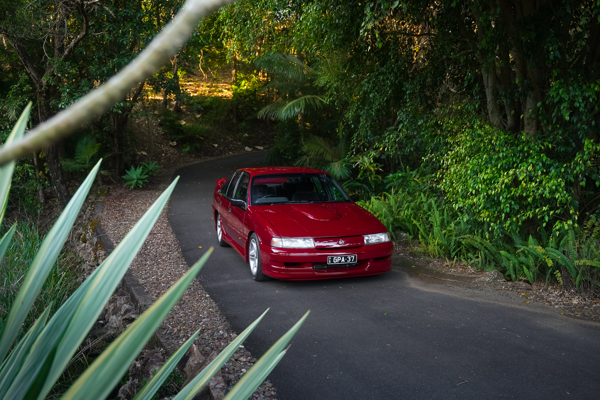 1990 Holden HSV Commodore VN SS Group A for sale by auction in ...