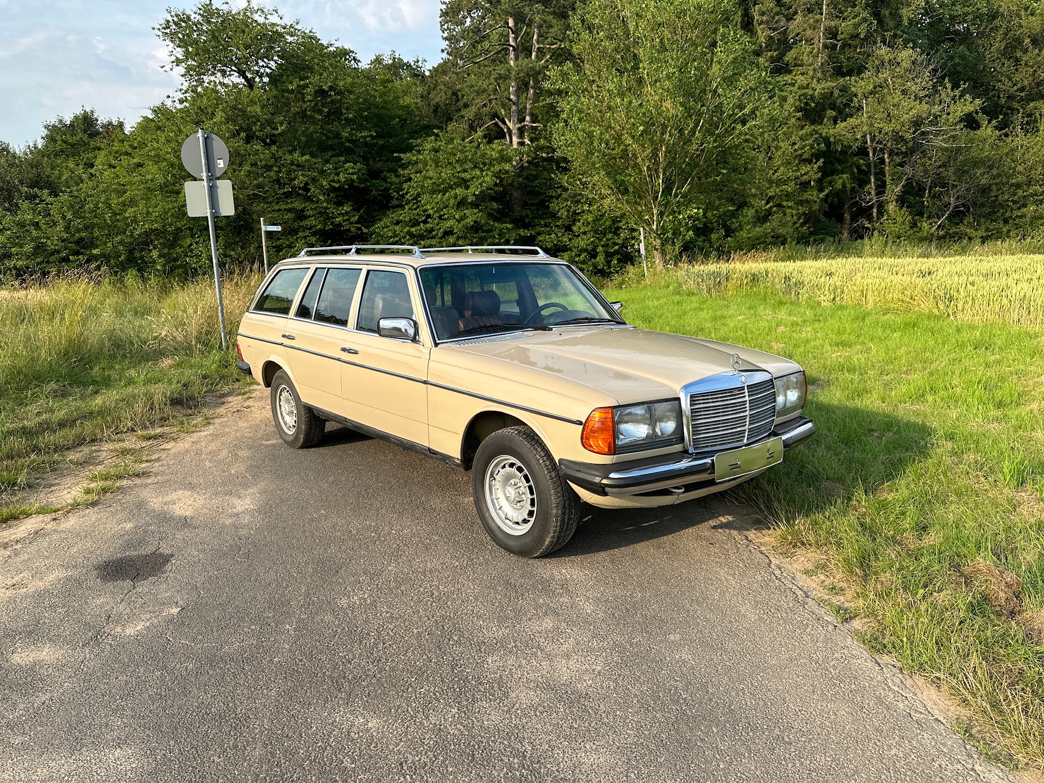 1981 Mercedes-Benz (S123) 300TD Turbodiesel for sale by auction in ...